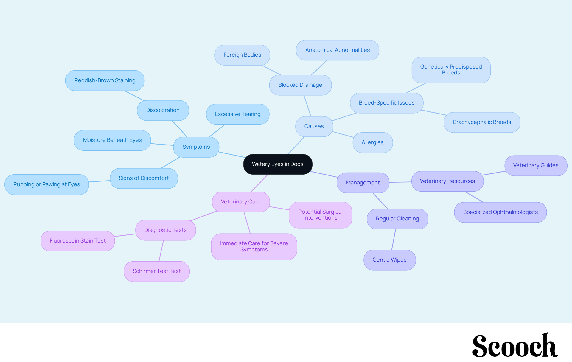 Understanding Dogs' Eyes Watering: Causes, Care, and Prevention