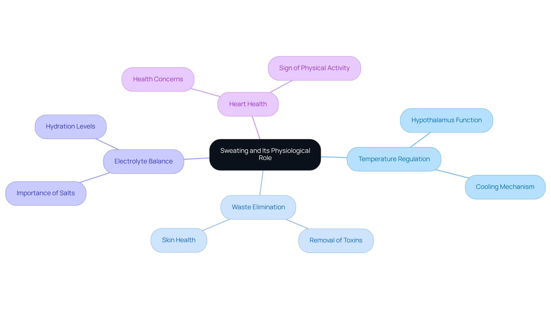 The central node represents sweating, while the branches show its various roles in the body. Each color-coded branch highlights a different aspect, helping you see how they all connect to your overall health.