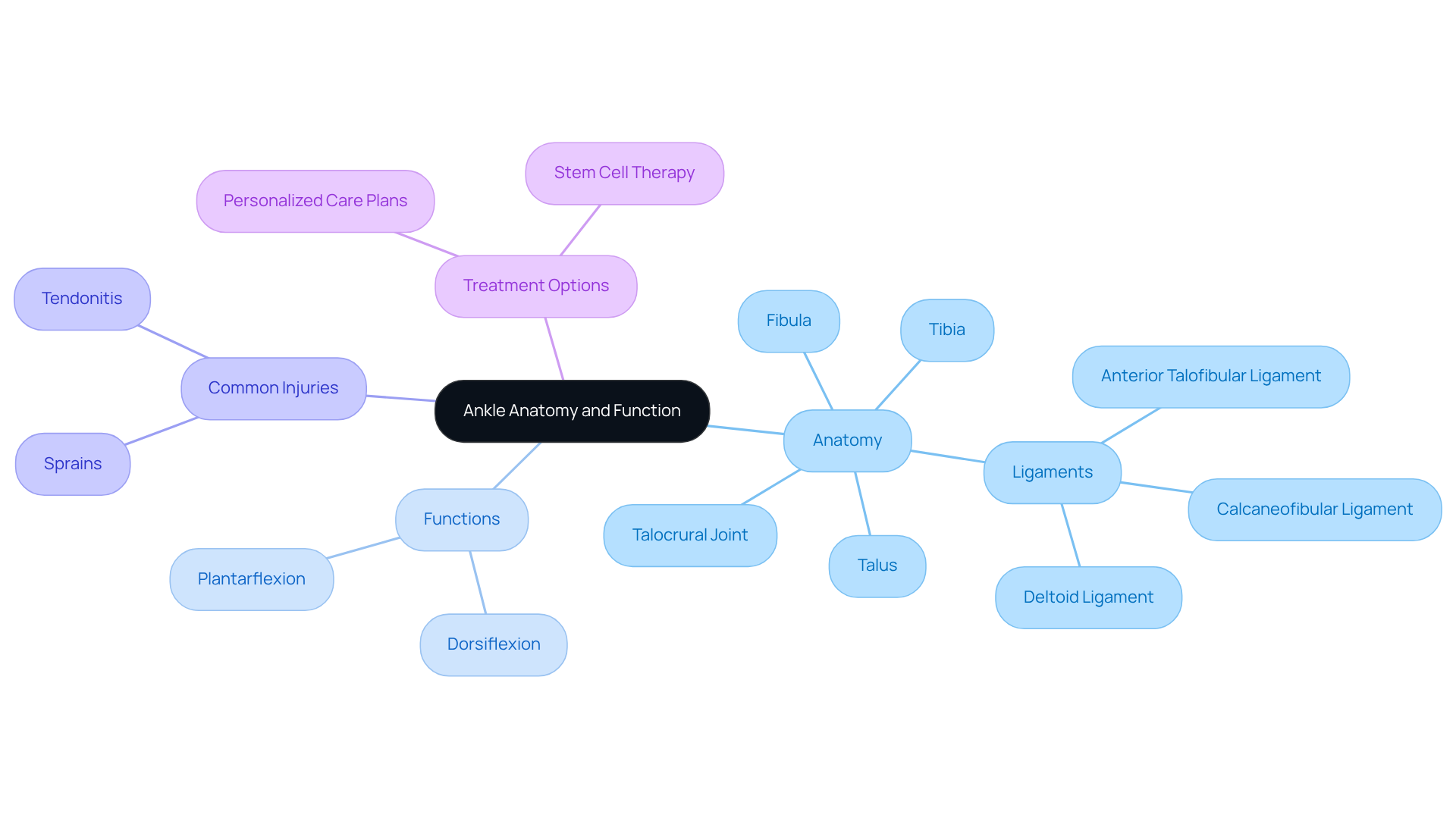 This mindmap starts with the main topic of ankle anatomy and function at the center. From there, you can explore different branches that explain the anatomy, how the ankle works, common injuries, and treatment options. Each branch helps you see how these elements are connected, making it easier to understand the overall picture of ankle health. This mindmap starts with the main topic of ankle anatomy and function at the center. From there, you can explore different branches that explain the anatomy, how the ankle works, common injuries, and treatment options. Each branch helps you see how these elements are connected, making it easier to understand the overall picture of ankle health.