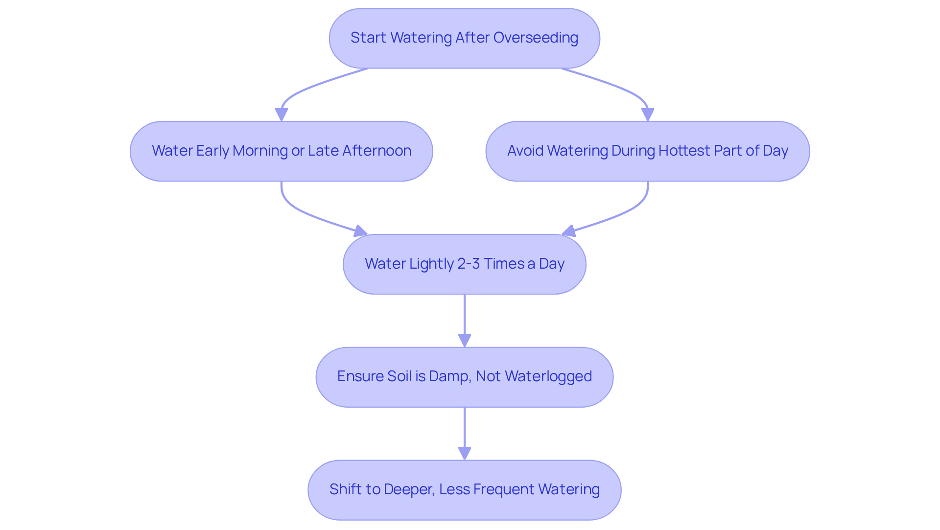 Follow the arrows to see the steps for watering after overseeding. Each box represents a key action or decision to help you avoid mistakes and promote healthy grass growth. Follow the arrows to see the steps for watering after overseeding. Each box represents a key action or decision to help you avoid mistakes and promote healthy grass growth.