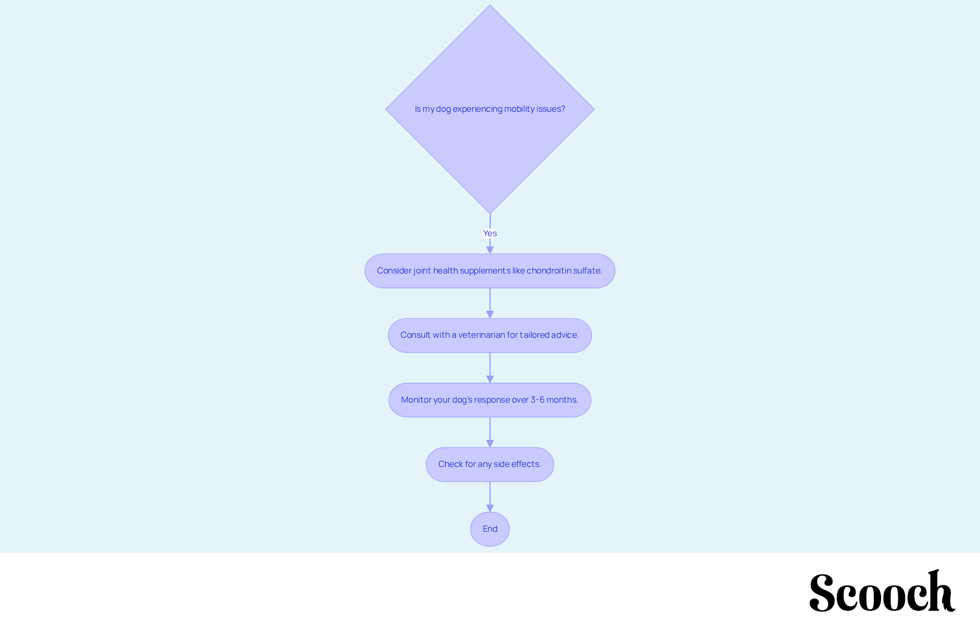 Follow the arrows to guide you through the process of deciding on joint health supplements for your dog. Each step helps ensure that you make informed choices for your pet's comfort and mobility.