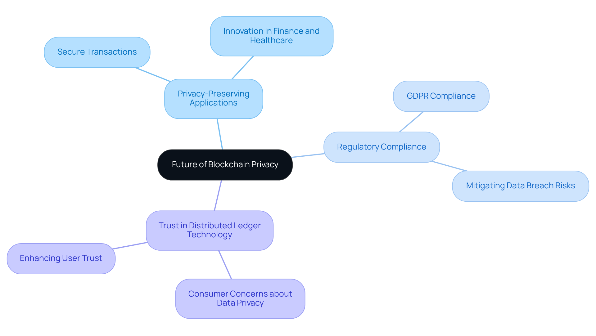 The central node represents the main topic, while the branches show how fully homomorphic encryption influences different aspects of blockchain privacy. Each sub-branch provides specific details or examples related to that area.