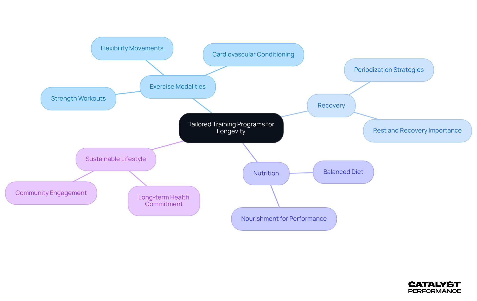 The center represents the main focus on tailored training programs, while the branches show the key components that contribute to a long and healthy life. Each color-coded branch highlights a different aspect of the program, making it easy to understand how they all work together.