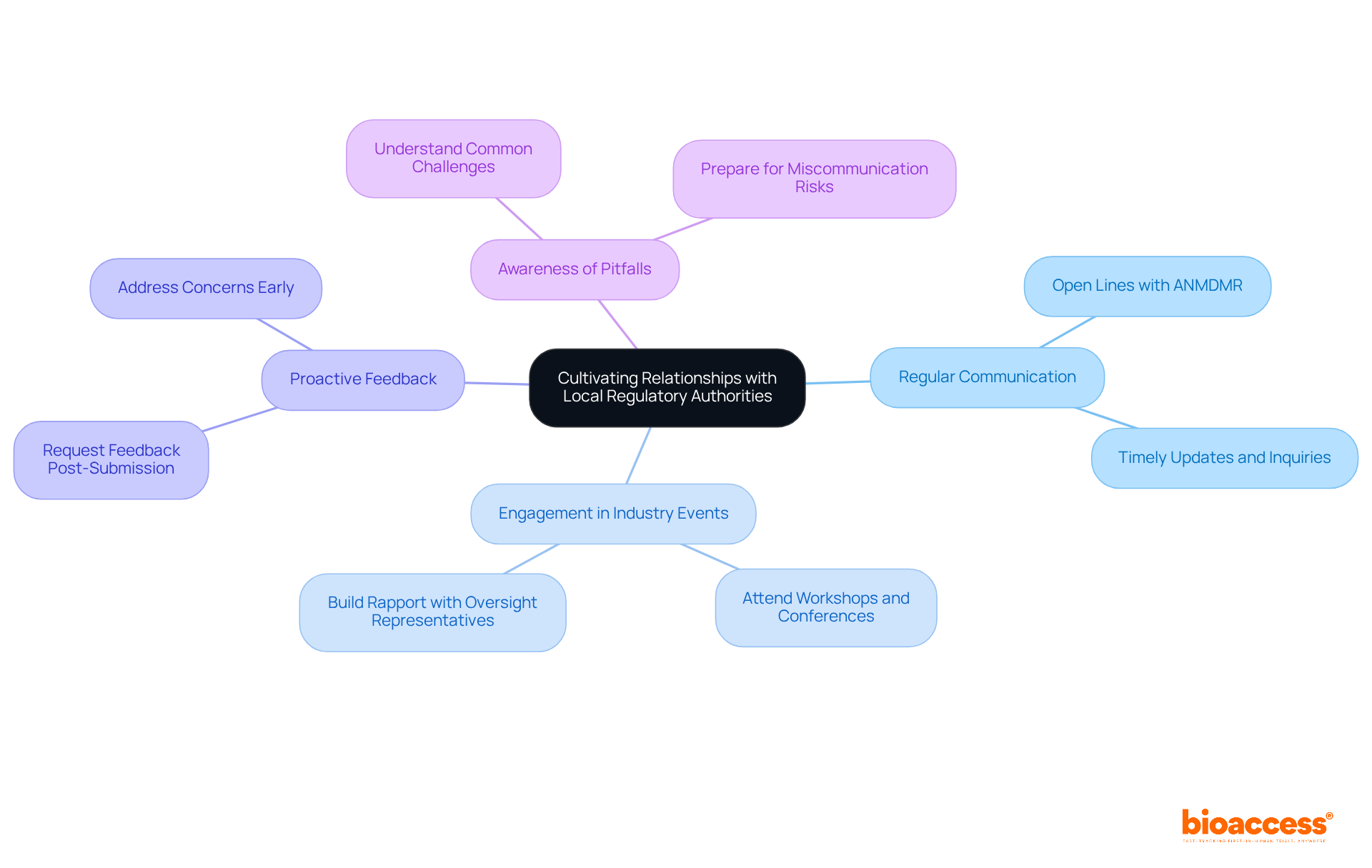 The central node represents the main goal, while the branches show different strategies to achieve it. Each strategy can have further details, helping you understand how to effectively build relationships with regulatory bodies. The central node represents the main goal, while the branches show different strategies to achieve it. Each strategy can have further details, helping you understand how to effectively build relationships with regulatory bodies.