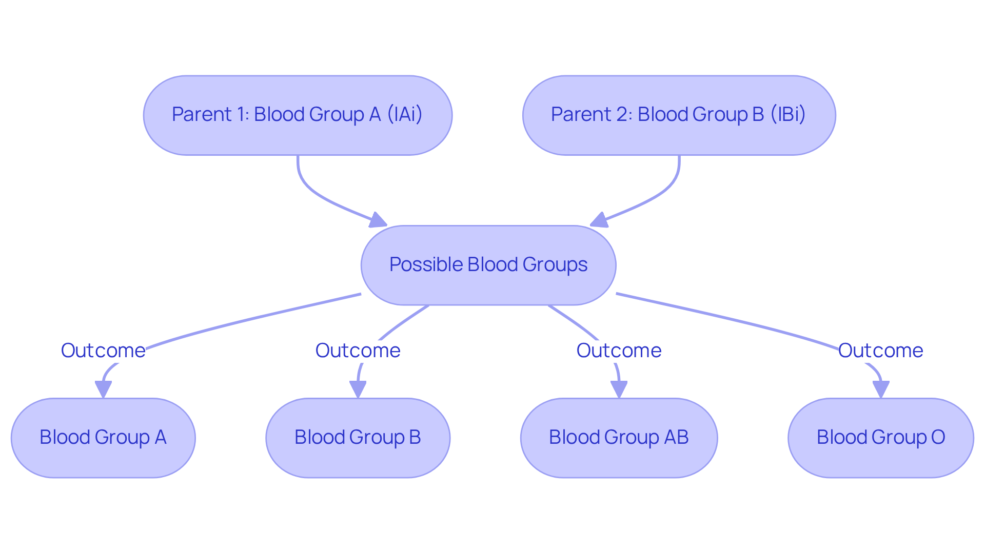 This flowchart shows how the blood groups of parents can combine to create different blood types in their children. Follow the arrows to see how each parent's alleles contribute to the possible outcomes.