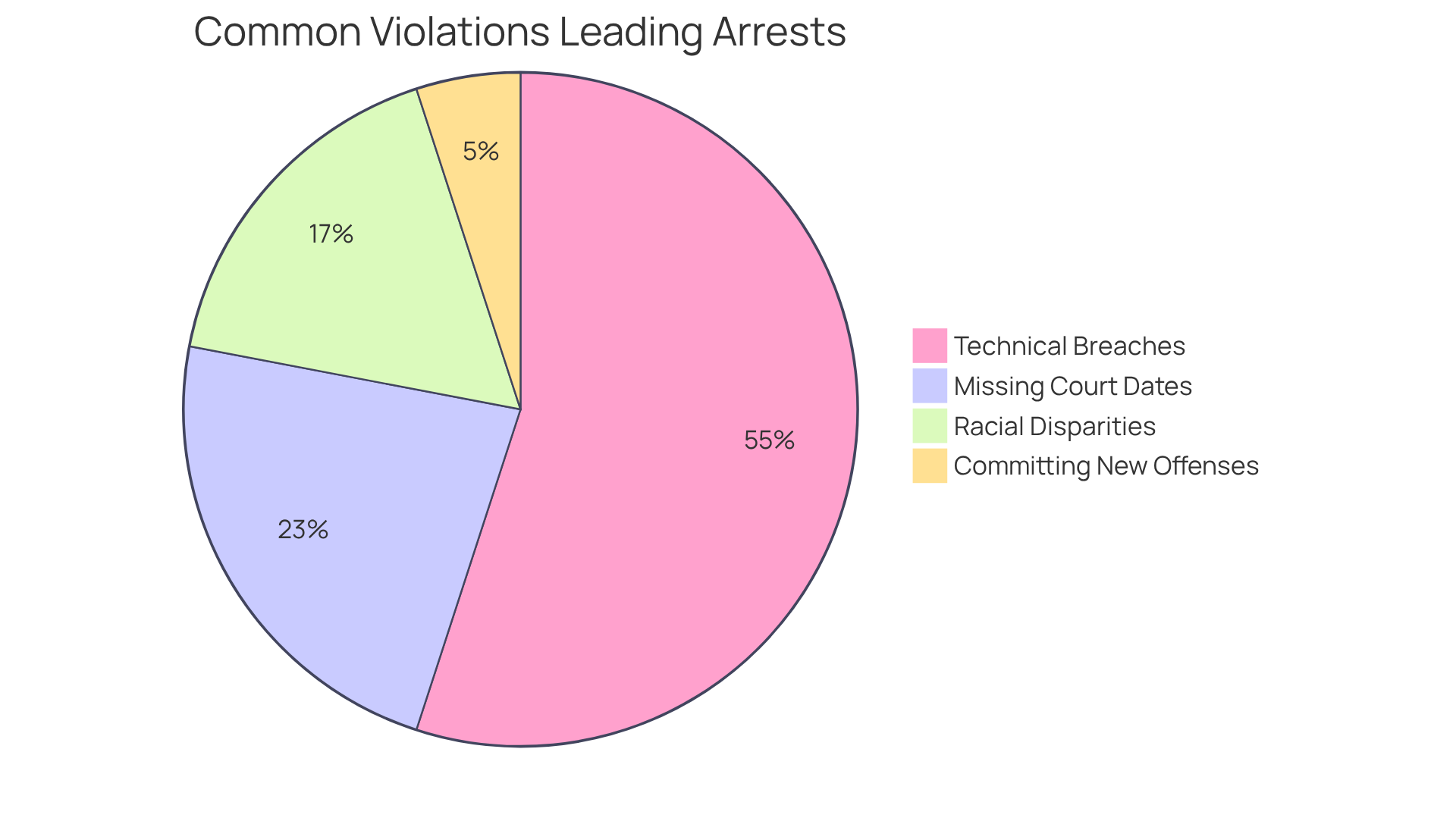 Each slice of the pie shows a different reason why individuals might be arrested. The bigger the slice, the more significant that reason is in terms of how many people it affects. This helps you see which violations are most common and how they contribute to the overall issue of incarceration. Each slice of the pie shows a different reason why individuals might be arrested. The bigger the slice, the more significant that reason is in terms of how many people it affects. This helps you see which violations are most common and how they contribute to the overall issue of incarceration.