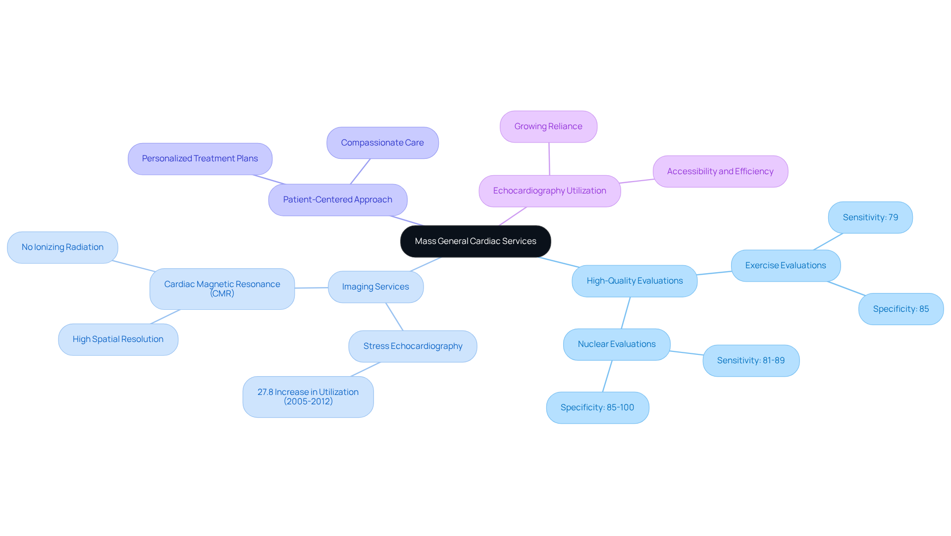 The central node represents the main focus on cardiac services, while the branches show the different types of evaluations and approaches taken to ensure patient care. Each branch highlights a key aspect of the services offered.