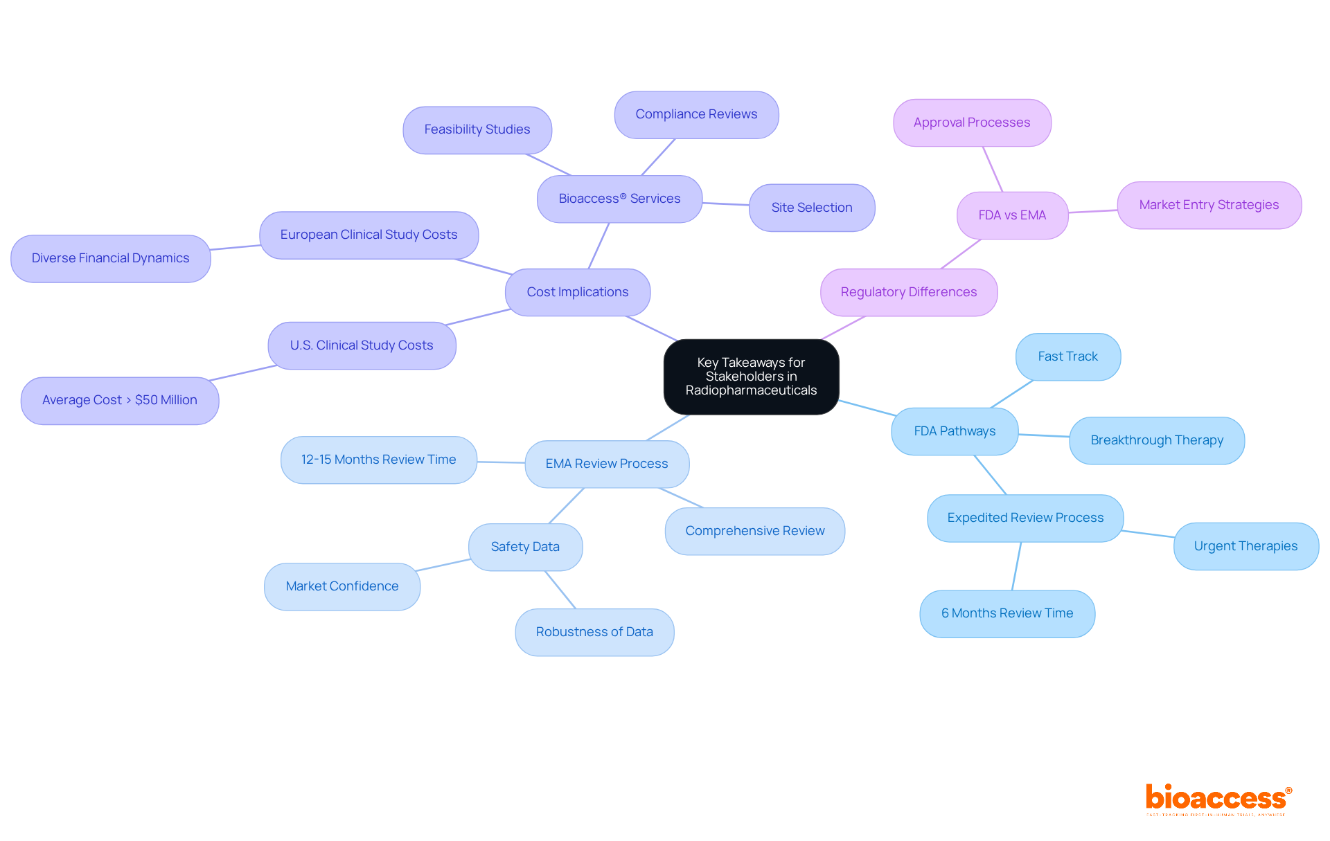 The central node represents the main topic, while the branches show different areas of focus. Each sub-branch provides specific insights or considerations that stakeholders should keep in mind.