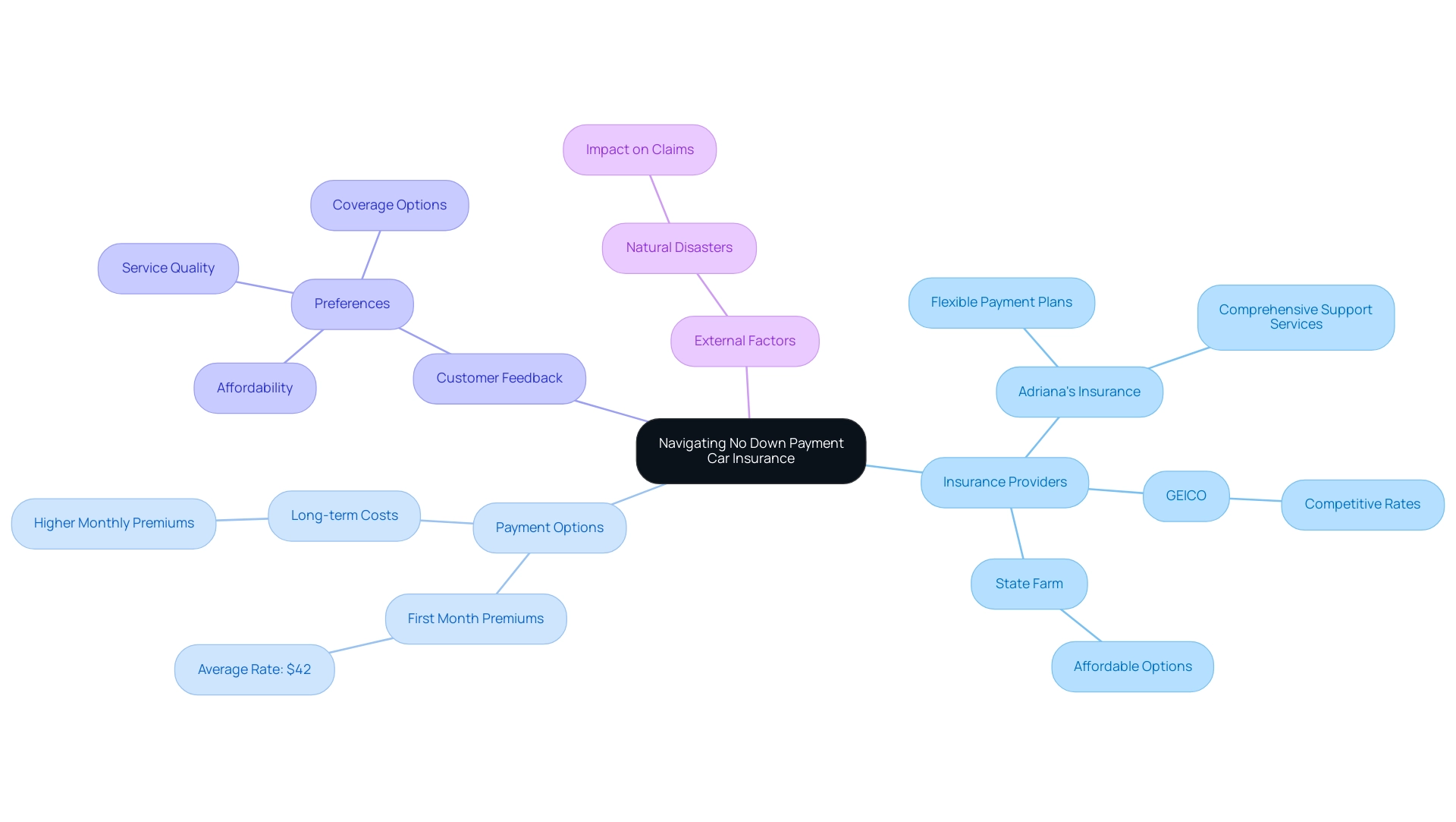 The central node represents the main topic, with branches indicating key areas of focus such as providers, payment options, customer feedback, and external factors.