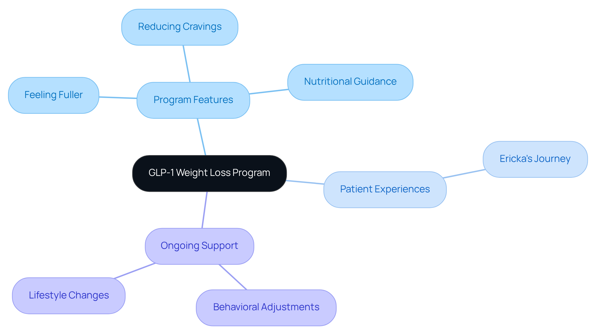 The center represents the weight loss program, and the branches show its key features, patient stories, and the support provided. Each branch helps you understand how the program works and the positive impact it has on individuals.