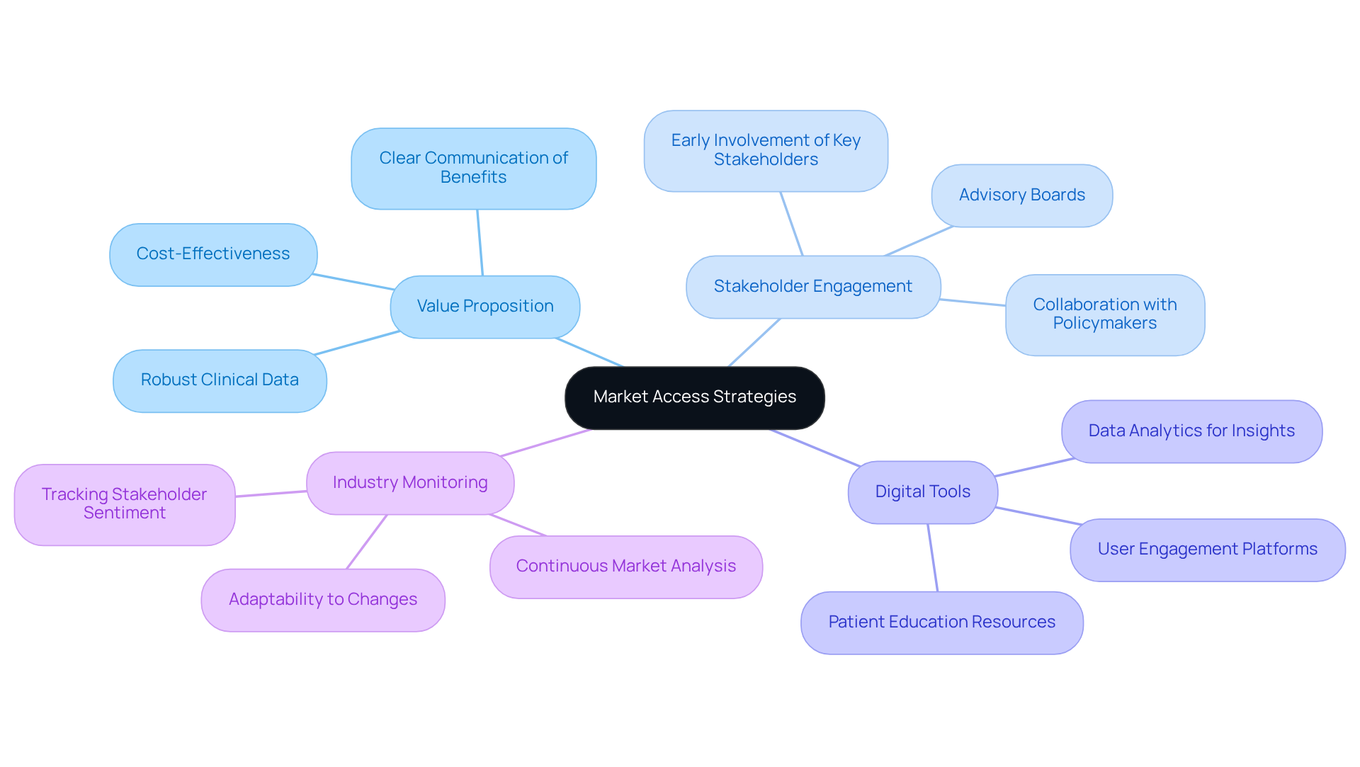 The center shows the main strategy, and each branch represents a different aspect of that strategy. Follow the branches to see how each component contributes to effective market access.