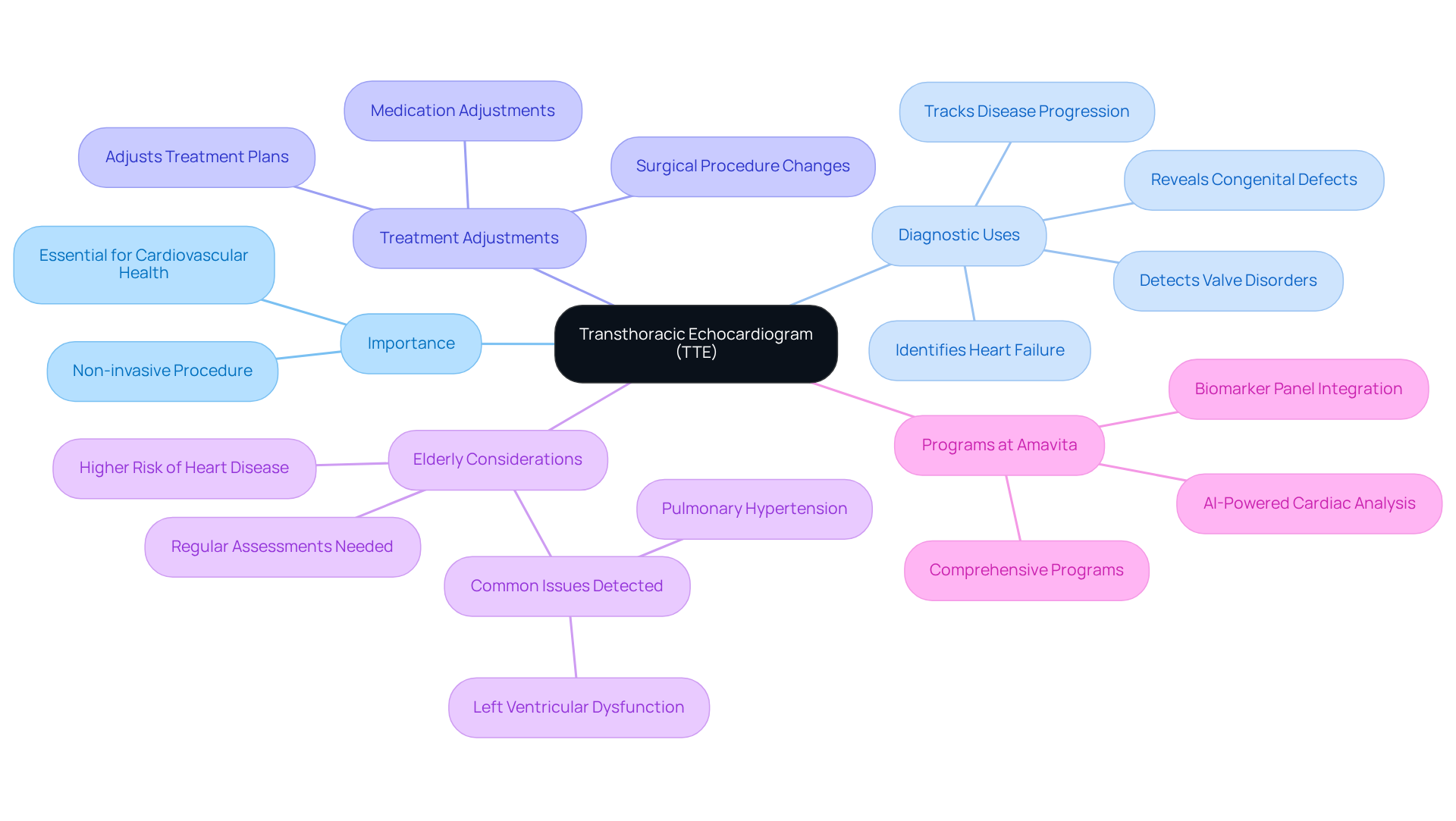 The central node represents TTE; the branches illustrate its importance and applications, helping you see how each aspect connects back to the central idea.