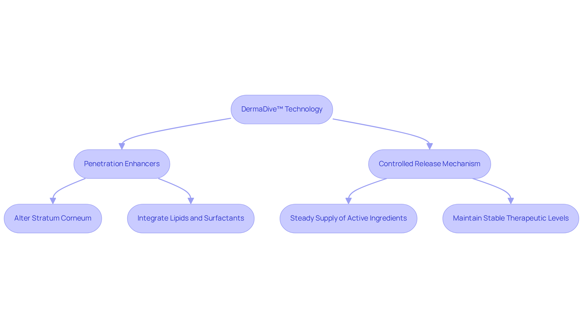Follow the arrows to see how DermaDive™ technology works. Each step shows how the product enhances drug delivery, from altering the skin to ensuring a steady release of medication.