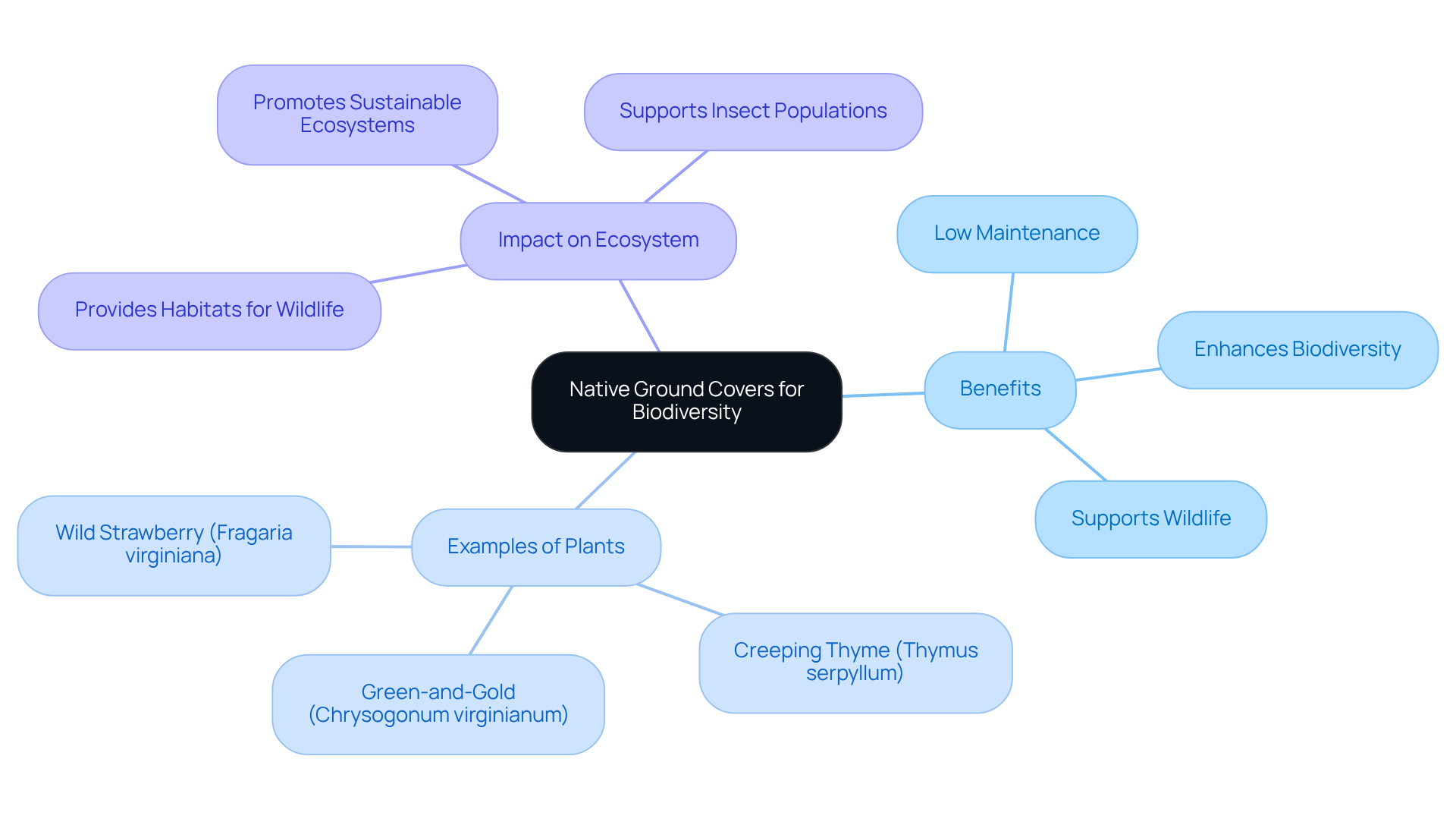 The central idea is about using native plants for gardening. Each branch shows a different aspect: benefits of these plants, examples of specific plants, and their positive impact on the ecosystem. Follow the branches to understand how they all connect to support biodiversity. The central idea is about using native plants for gardening. Each branch shows a different aspect: benefits of these plants, examples of specific plants, and their positive impact on the ecosystem. Follow the branches to understand how they all connect to support biodiversity.