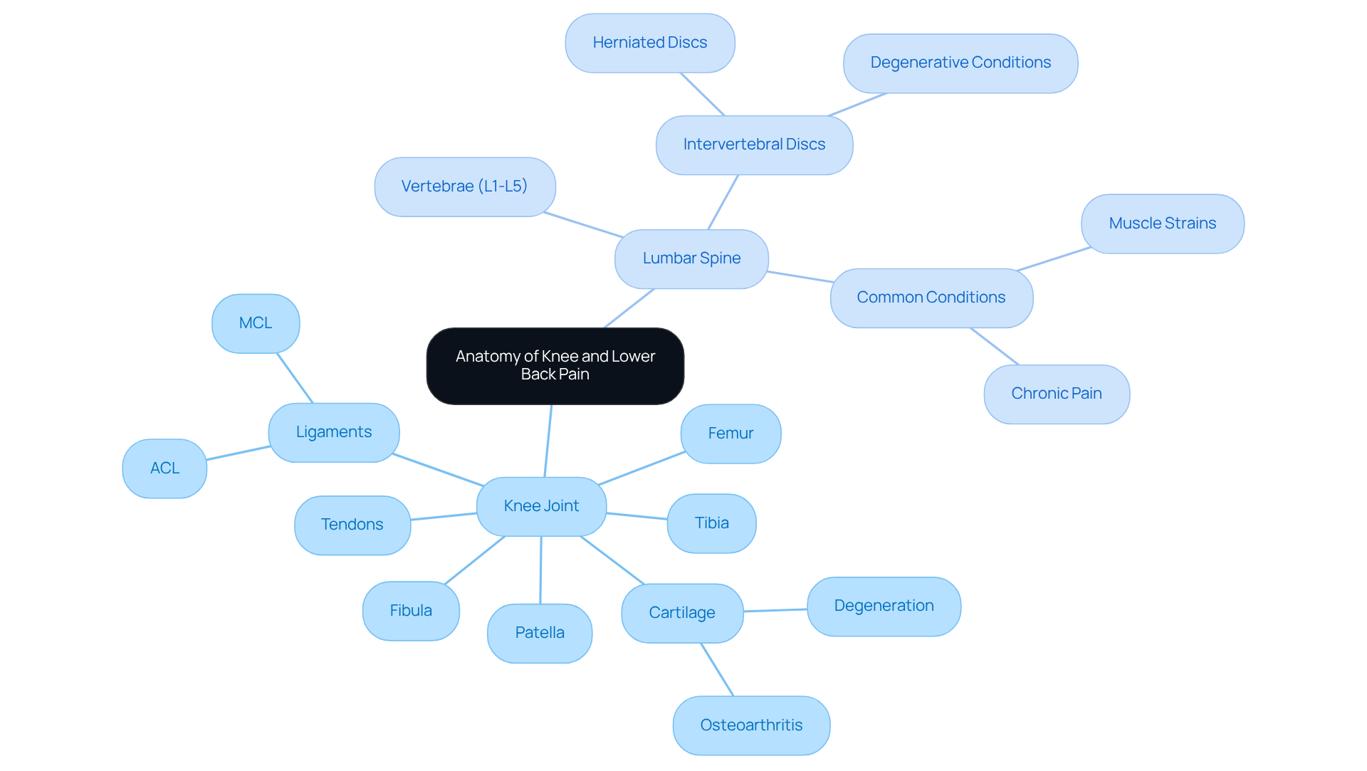 The central node represents the overall topic, while the branches show the key components of the knee and lower back. Each sub-branch provides details about specific parts and conditions, helping you see how everything is connected. The central node represents the overall topic, while the branches show the key components of the knee and lower back. Each sub-branch provides details about specific parts and conditions, helping you see how everything is connected.
