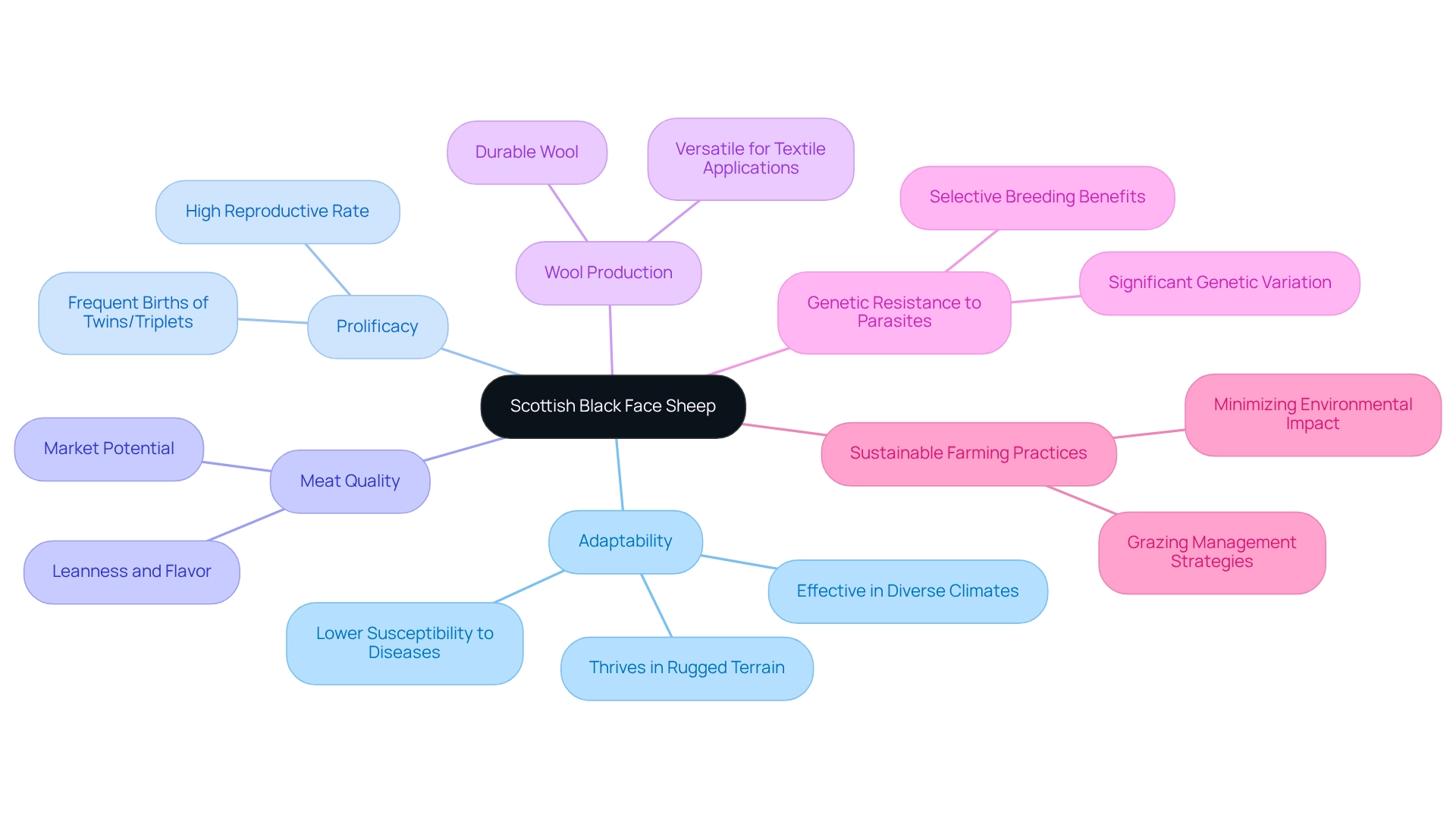 The central node represents the breed, with branches for each key characteristic that detail their associated benefits.