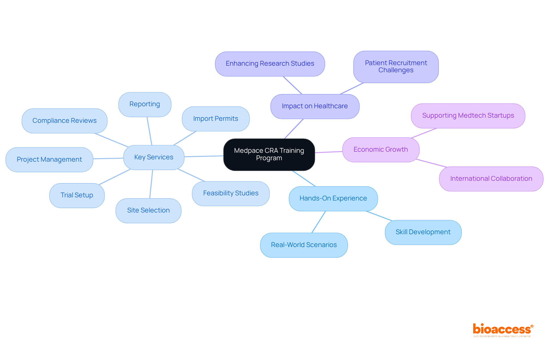 The central node represents the training program. Each branch shows different aspects of the program, including practical experience, services offered, and their impact on healthcare and the economy.