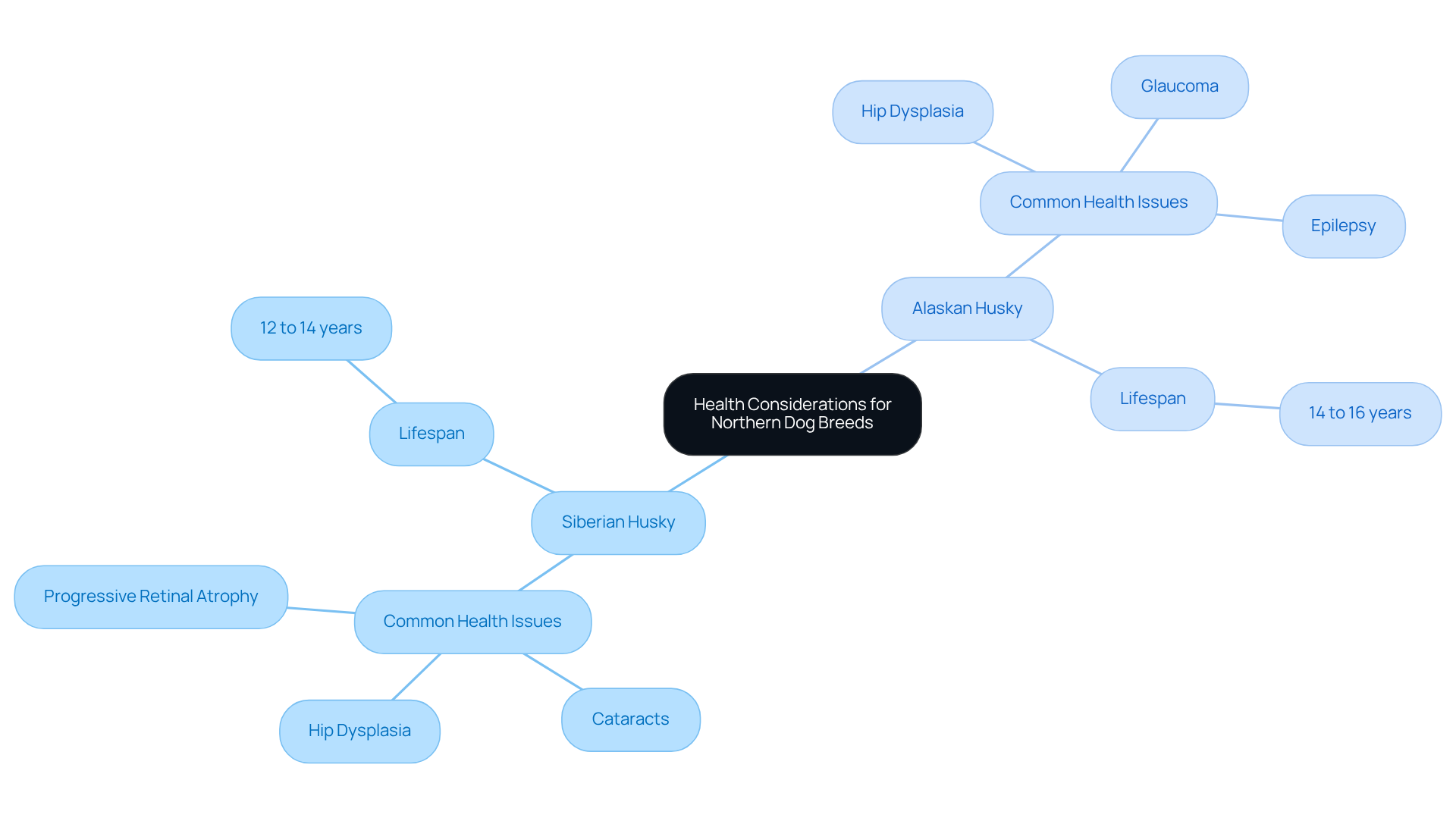 The central node represents the health considerations for both breeds. Each branch shows specific health issues and lifespan, highlighting the differences and similarities between Siberian and Alaskan Huskies. The central node represents the health considerations for both breeds. Each branch shows specific health issues and lifespan, highlighting the differences and similarities between Siberian and Alaskan Huskies.
