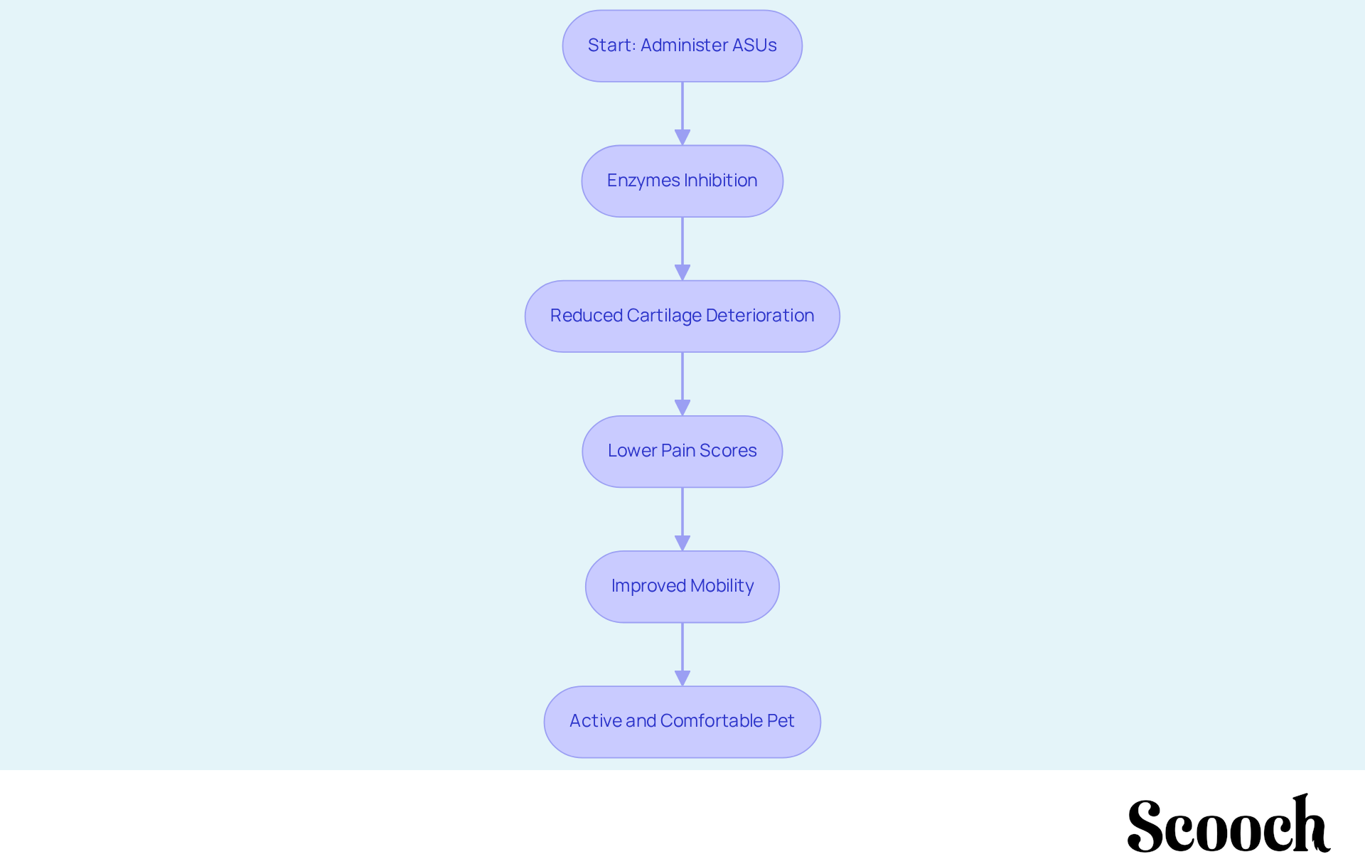 Each box represents a step in the process of administering ASUs to dogs. Follow the arrows to see how each step leads to improved joint health, culminating in a happier, more mobile pet.