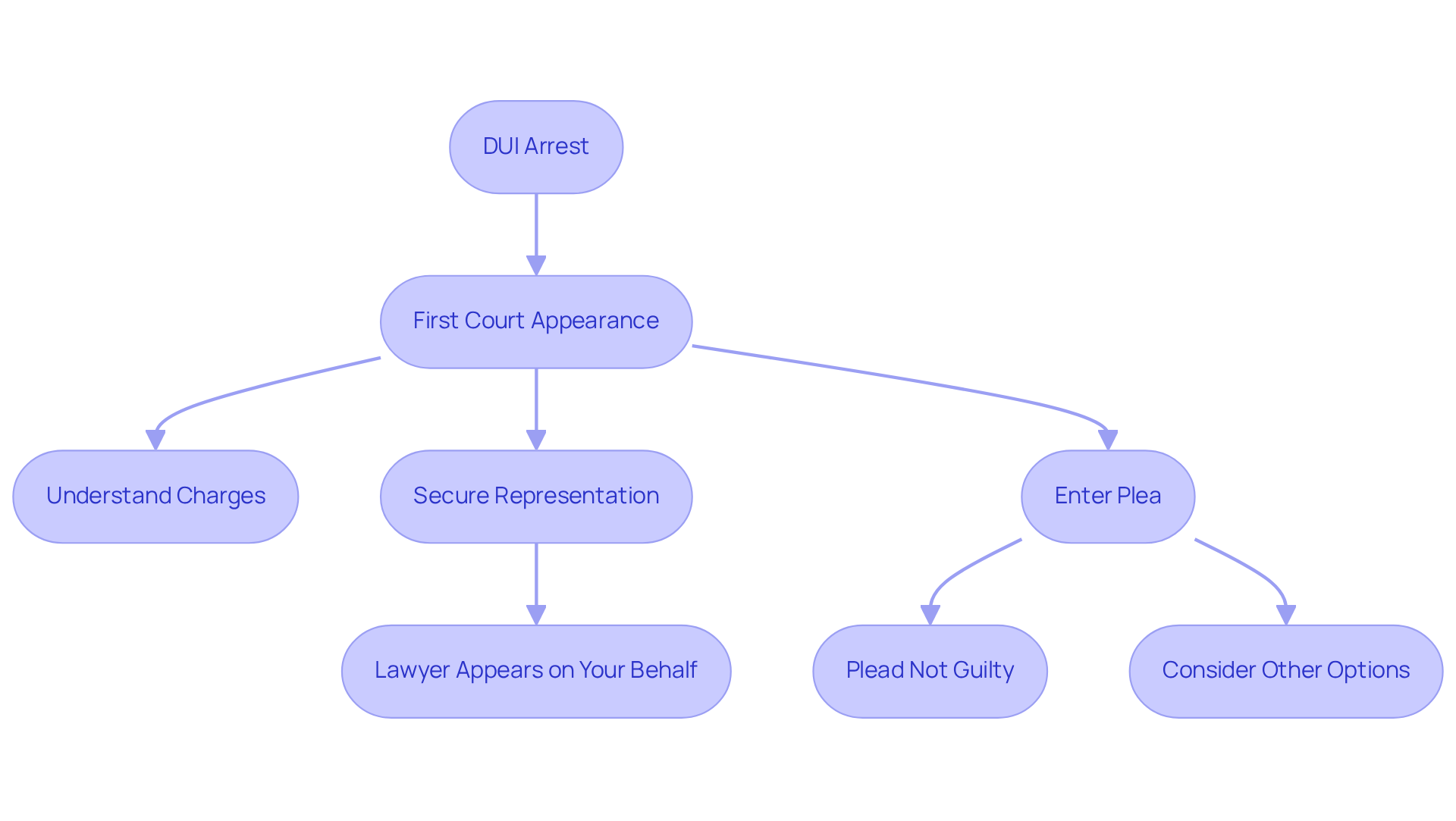 This flowchart shows the steps you go through after a DUI arrest. Start at the top with the arrest, then follow the arrows to see what happens next, including understanding your charges, getting a lawyer, and entering your plea. Each step is important for your case!