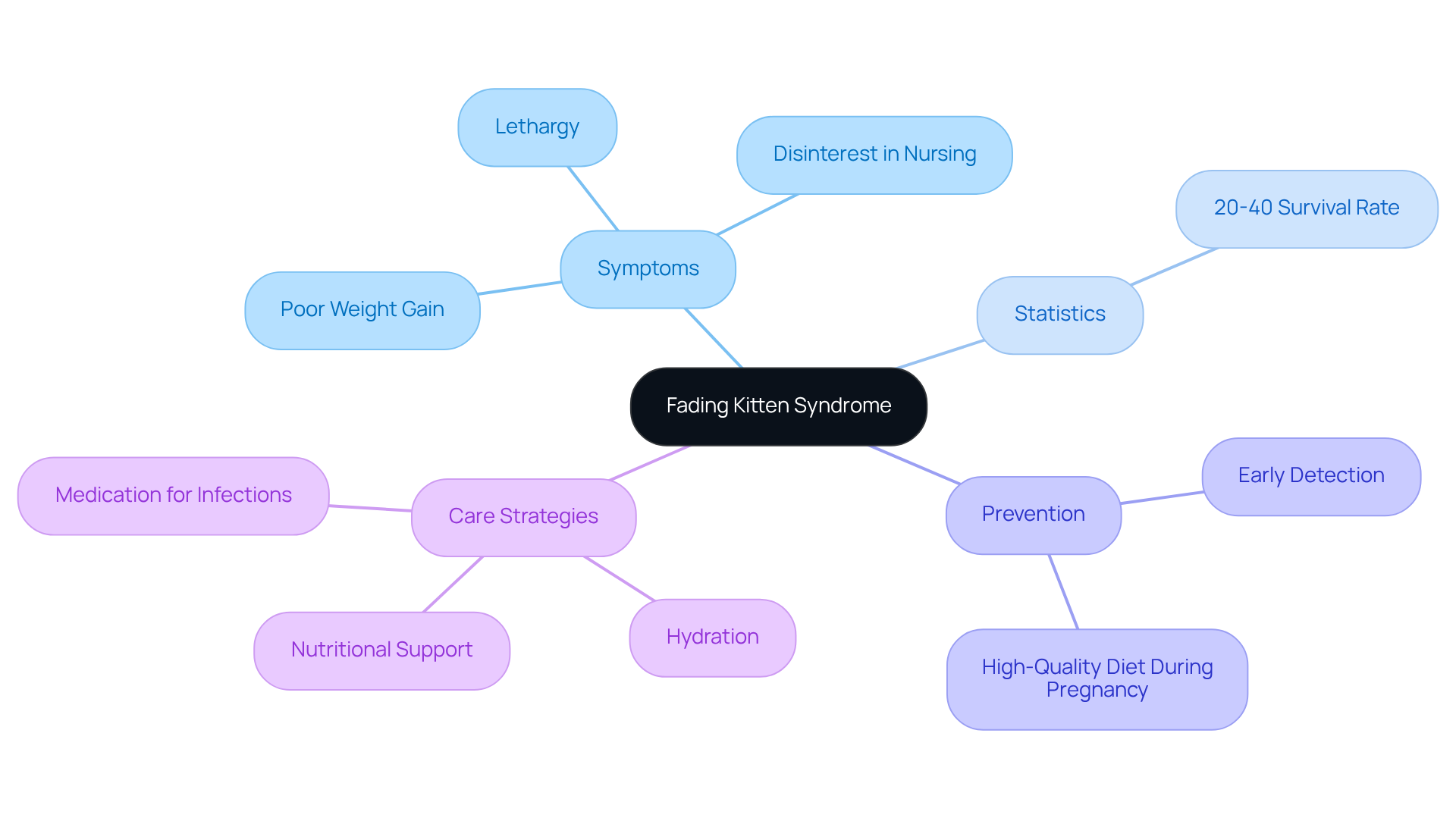 The central idea is Fading Kitten Syndrome, with branches showing symptoms, statistics, prevention tips, and care strategies. Each branch represents important information to help caregivers manage the health of neonatal felines.