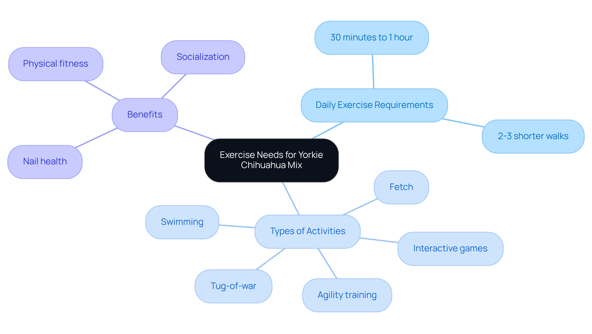 Start with the main exercise needs in the center, then follow the branches to see daily requirements, types of fun activities, and the benefits of staying active — a great way to keep your pet happy and healthy!