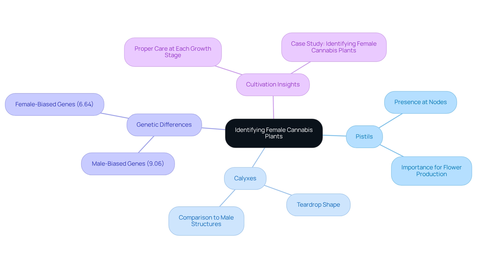 This mindmap breaks down the essential signs to look for when identifying female cannabis plants. The central idea is surrounded by branches that represent different indicators, making it simple to understand how each plays a role in cultivation.