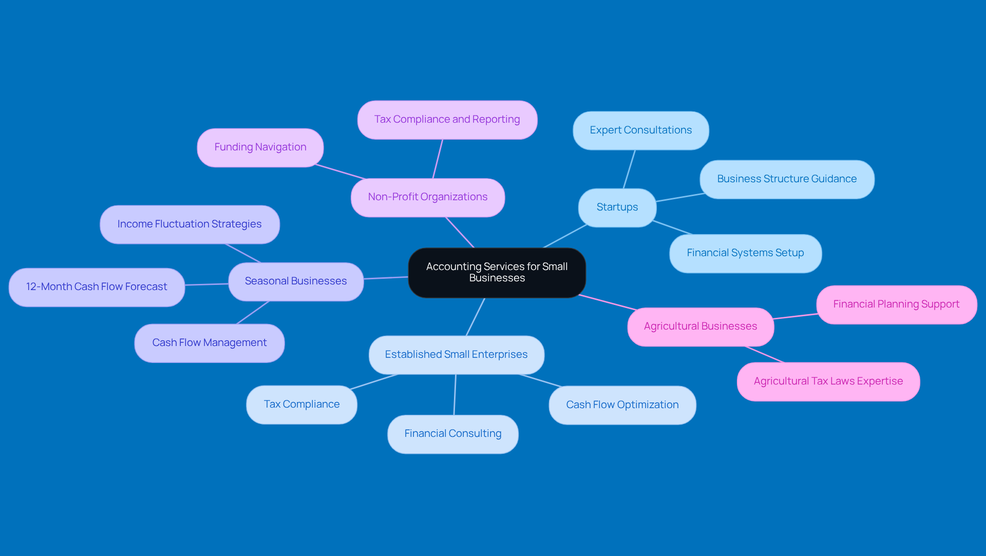 The center represents the overall theme of accounting services, while each branch shows a different type of small business. Follow the branches to discover the unique needs and considerations for each category.