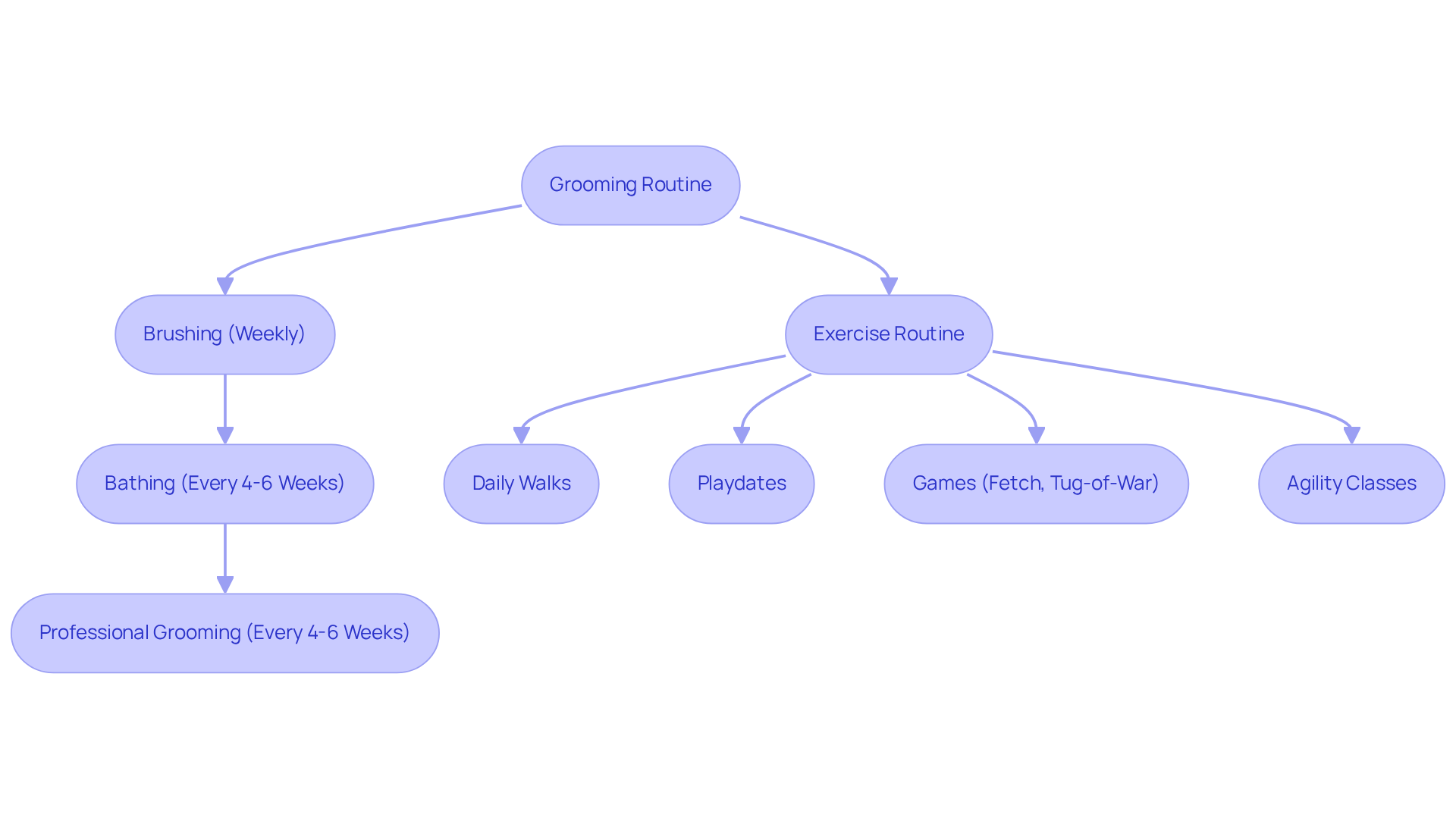 Follow the arrows to see the steps for grooming and exercising your poodle. Each box represents an important activity that helps keep your dog happy and healthy!