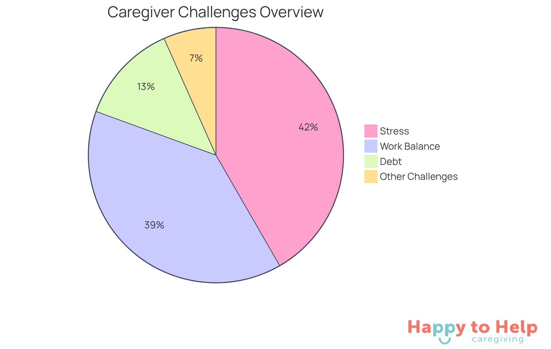 Each slice of the pie represents a different challenge caregivers face. The larger the slice, the more significant the issue is among caregivers.