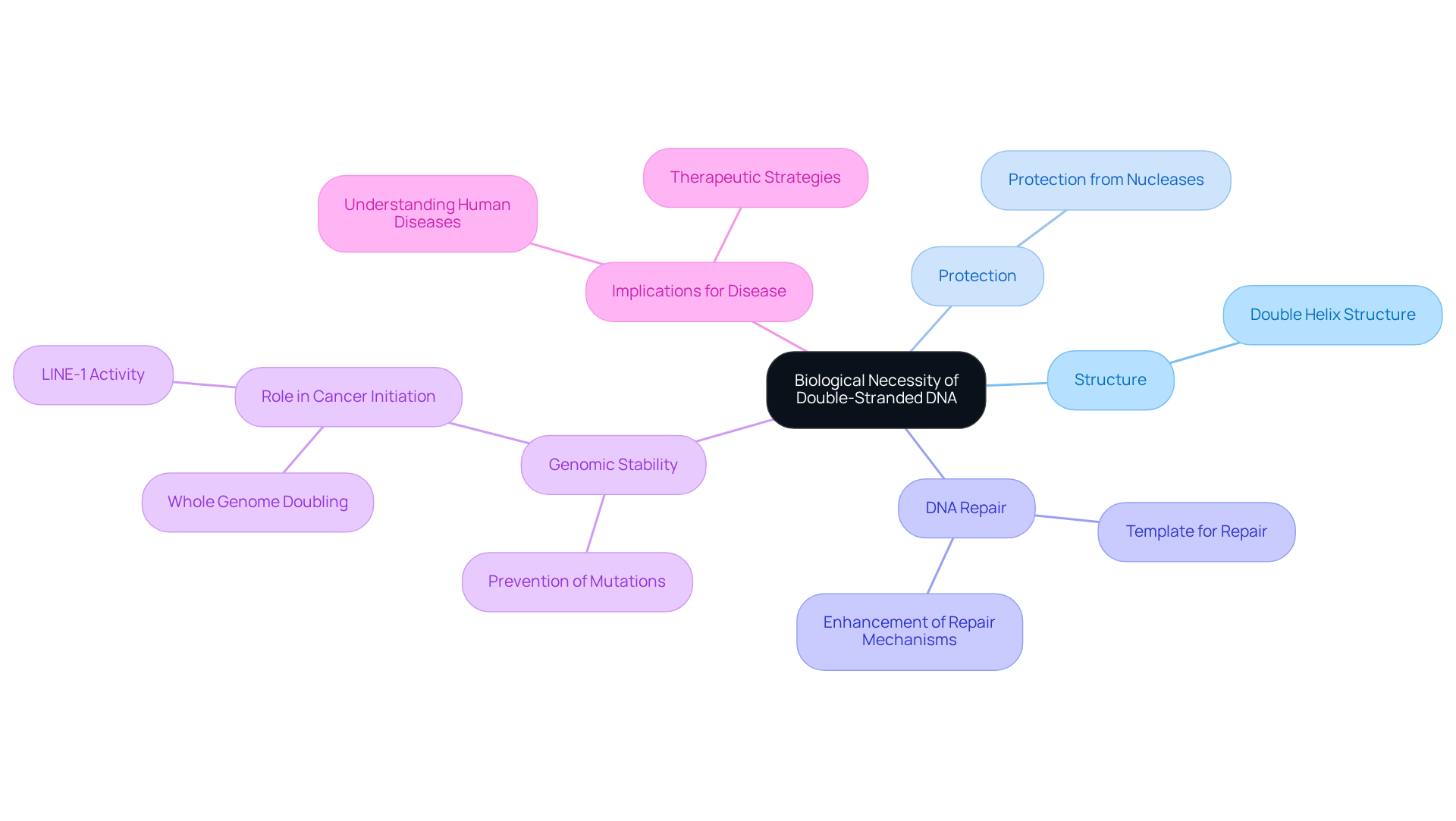 Start at the center with the main idea about double-stranded DNA. Follow the branches to explore its structure, protective roles, and implications for health and disease. Each branch represents a key aspect of how dsDNA functions in biology.
