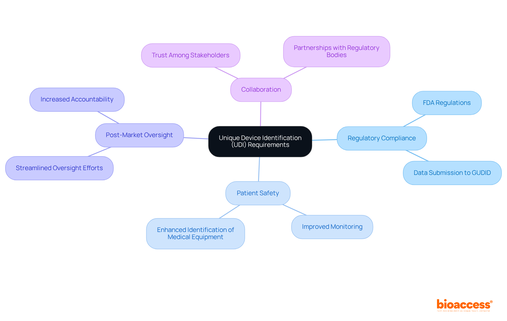 The central node represents the UDI system, while the branches show key areas of focus. Each sub-branch provides more detail on specific aspects, helping you see how everything connects.