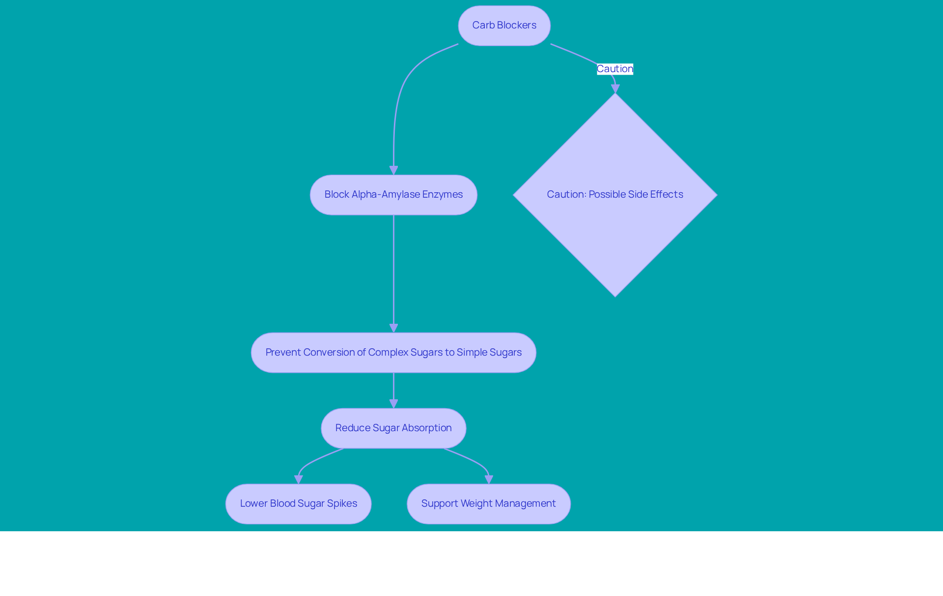 Follow the arrows to see how carb blockers work: they start by blocking certain enzymes, which helps prevent sugar absorption, leading to lower blood sugar spikes and aiding in weight management.