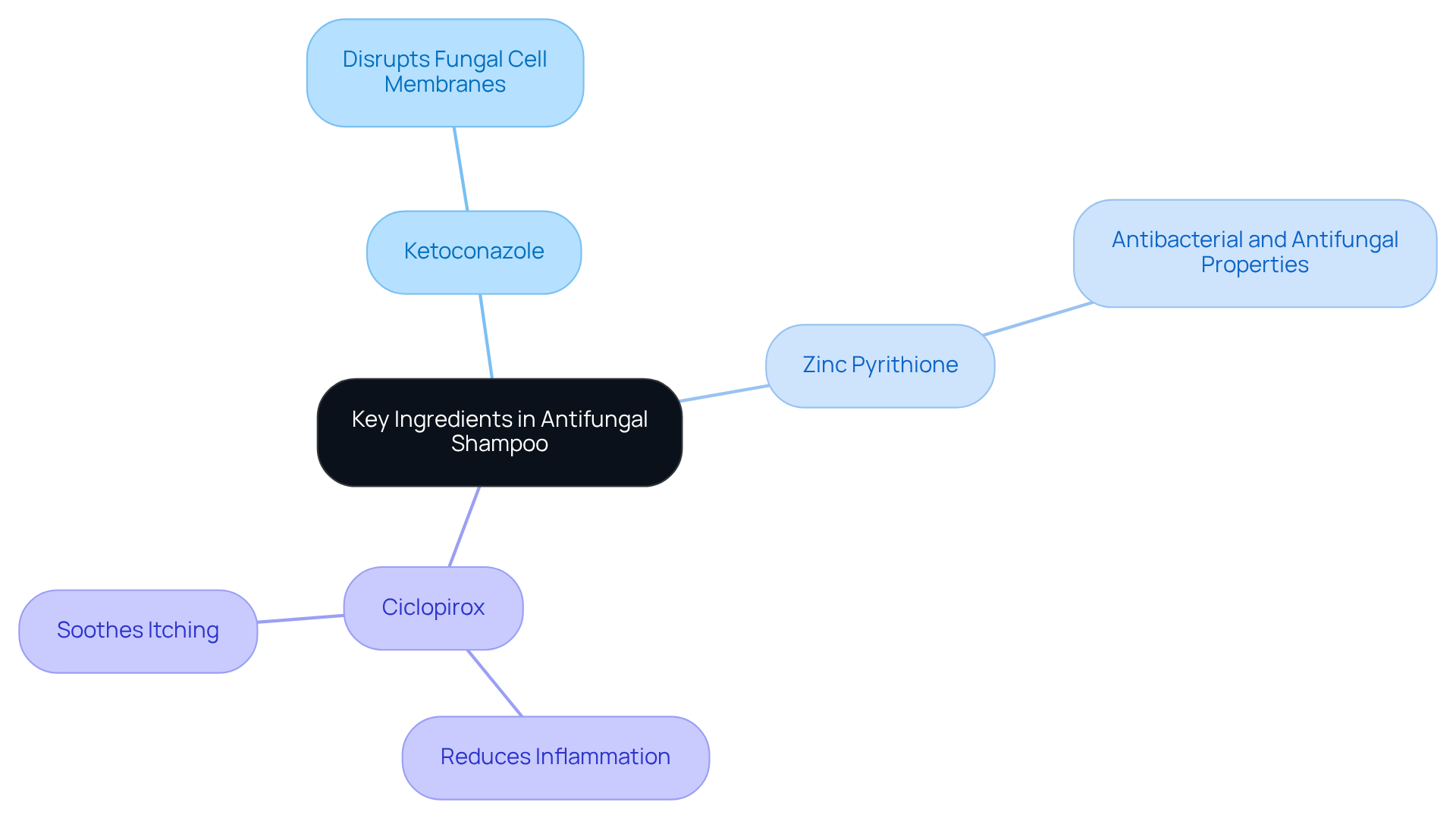The center shows the main topic of antifungal shampoo, while the branches represent key ingredients. Each ingredient has its own benefits listed, helping you understand how they contribute to healthier scalp and hair.