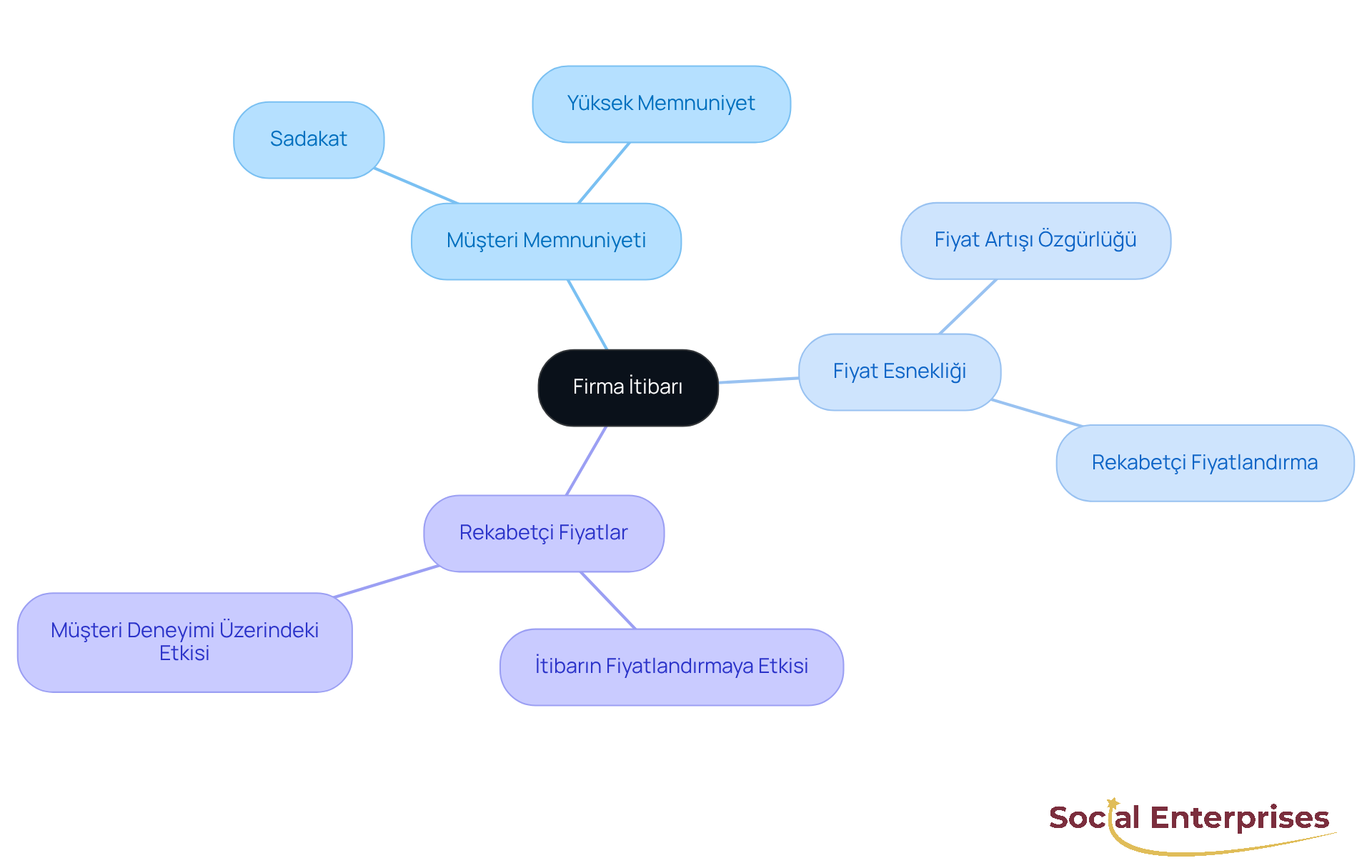 Merkezde firma itibarı var, dallar ise memnuniyet ve fiyat esnekliğindeki etkileşimleri gösteriyor. Her dal, firmanın fiyatlandırma stratejisini nasıl etkilediğini anlamaya yardımcı olacak.