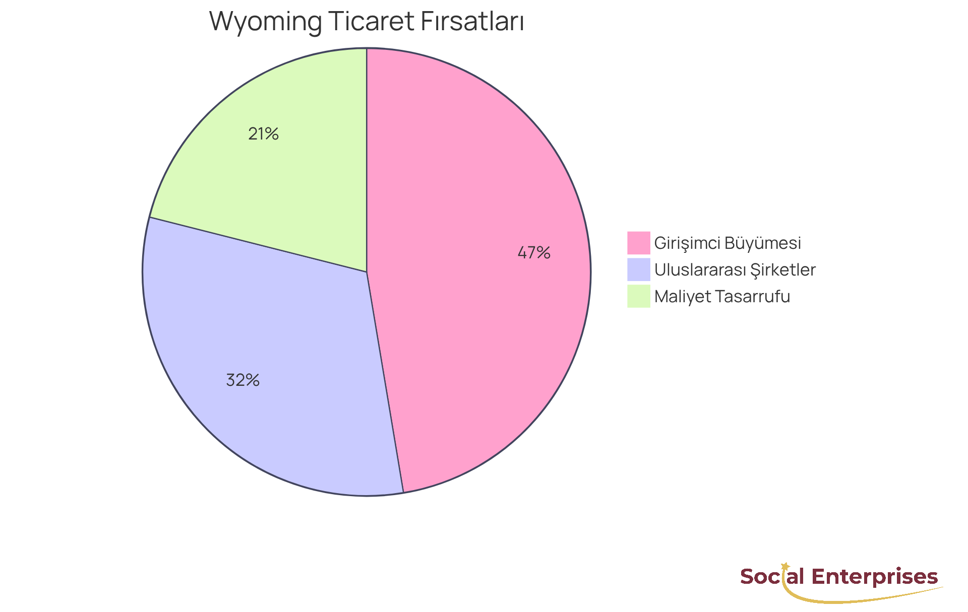 Her dilim, Wyoming'deki girişimcilerin uluslararası pazarlara açılma oranları ve sağlanan avantajların yüzdelerini temsil ediyor. Daha büyük dilimler, daha fazla fırsat ve avantaj anlamına geliyor.