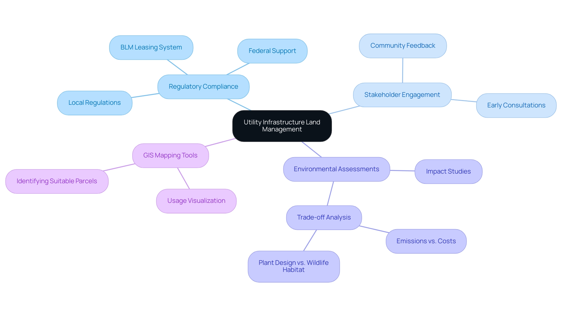 The central node represents the overall management strategy, with branches showing key components and sub-branches detailing specific aspects.