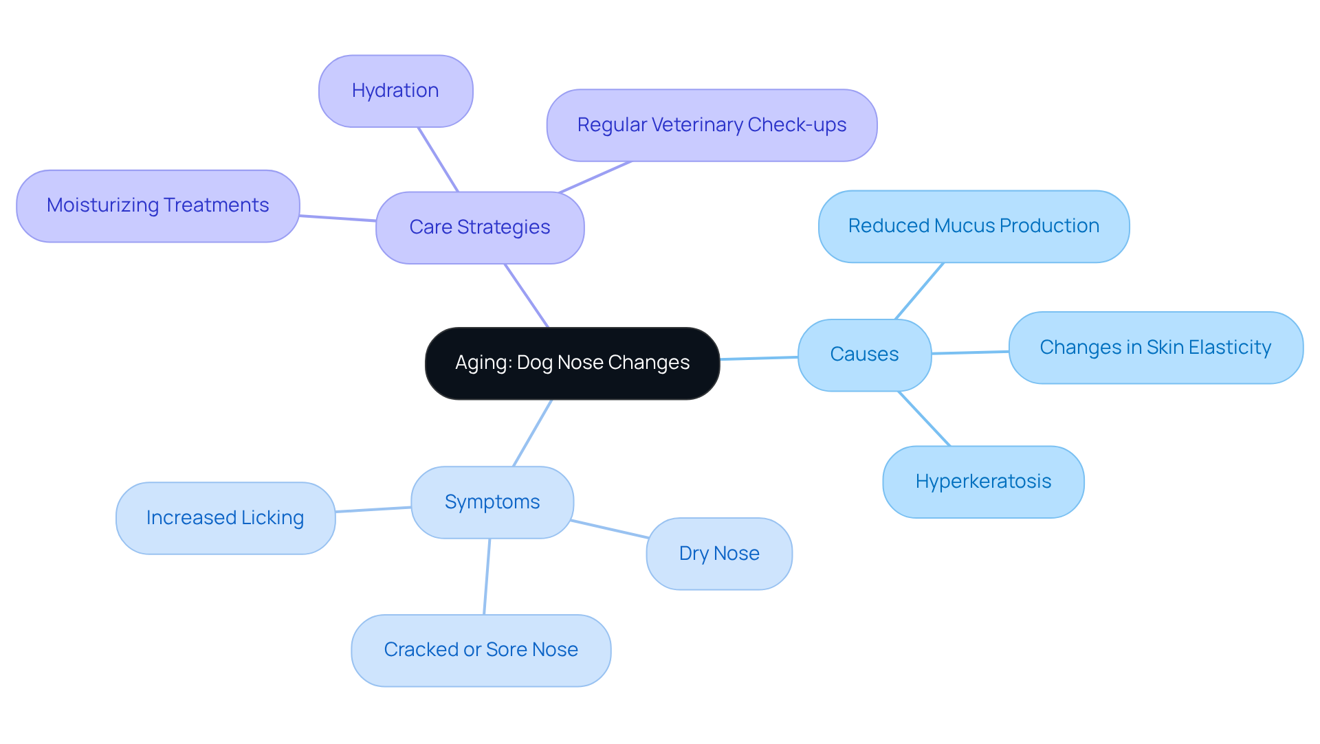At the center is the main topic about how aging affects your dog's nose. Each branch represents a specific aspect — causes, symptoms, and care strategies — showing how they all connect to the central idea.