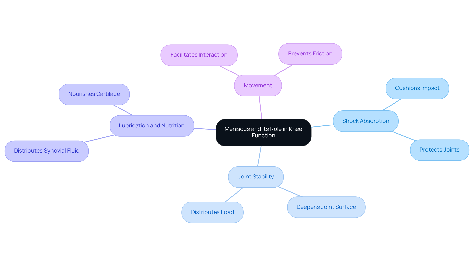 The central node represents the meniscus, while the branches show its key roles. Each function is crucial for maintaining joint health and mobility, highlighting the importance of the meniscus in everyday activities.