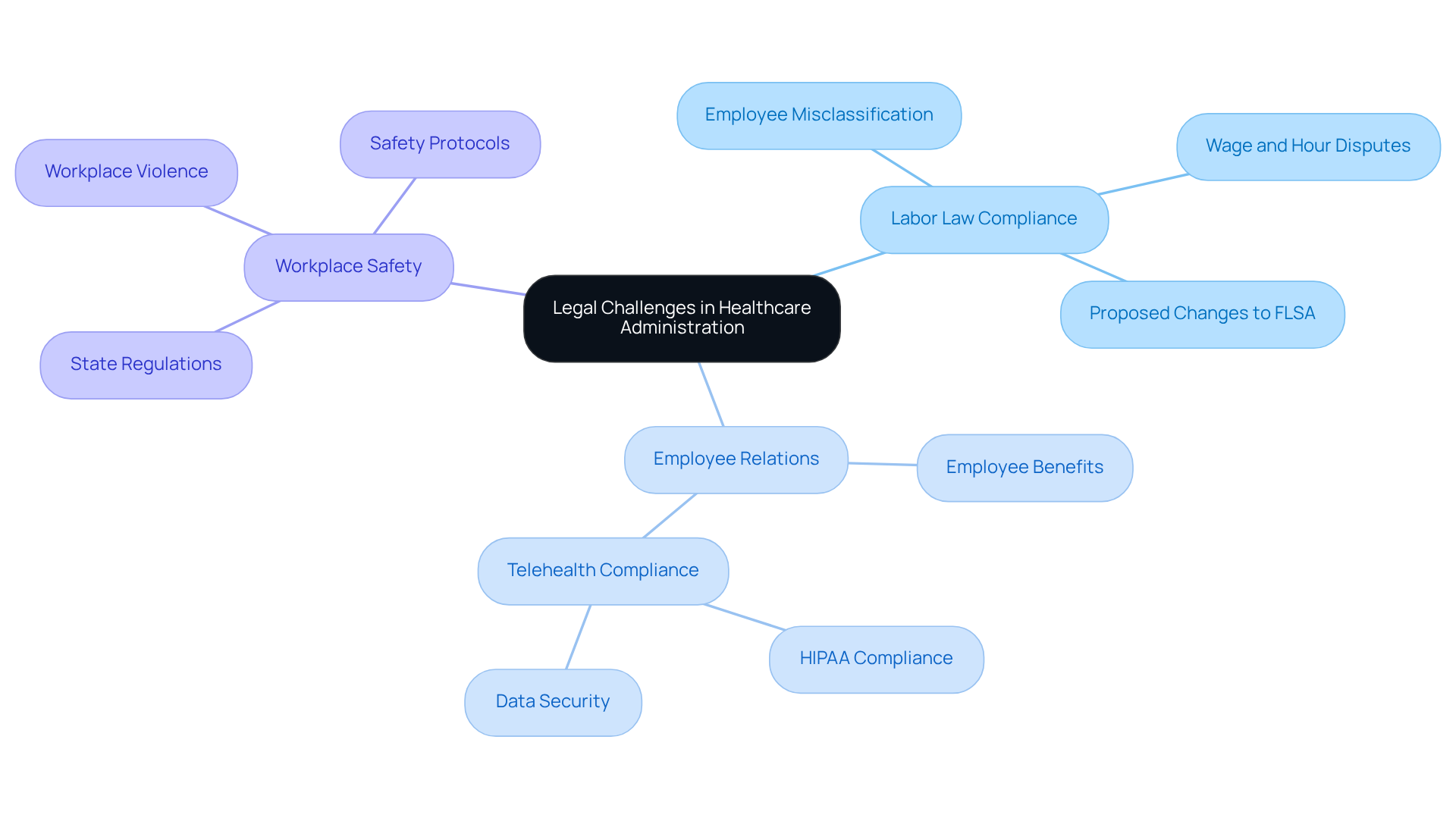 The central node represents the overall theme, while the branches show specific categories of legal challenges. Each sub-branch highlights particular issues within those categories, helping you understand the complexities healthcare administrators face.