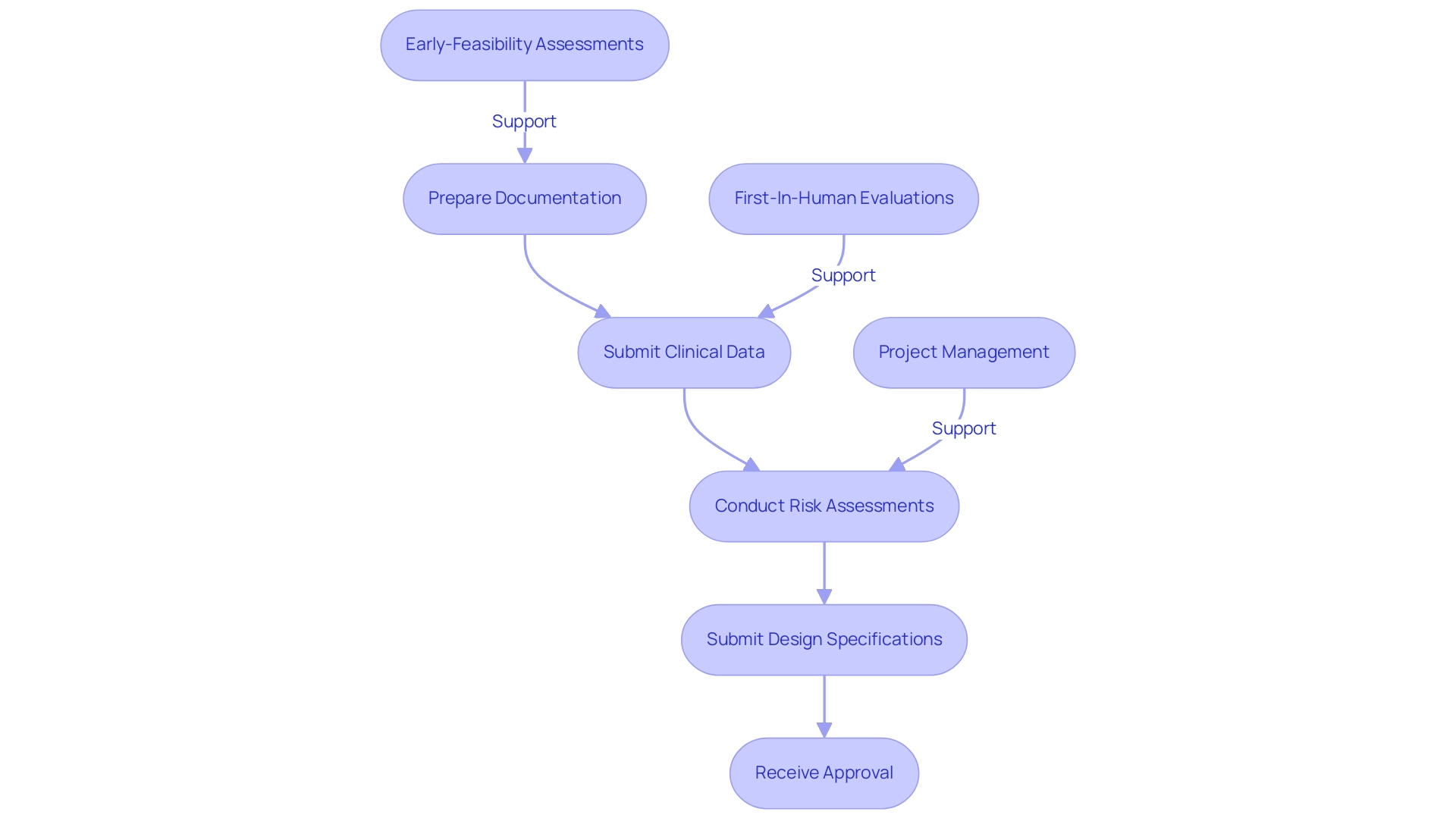 Blue boxes represent regulatory steps in the approval process, while green boxes indicate support services provided by bioaccess®.