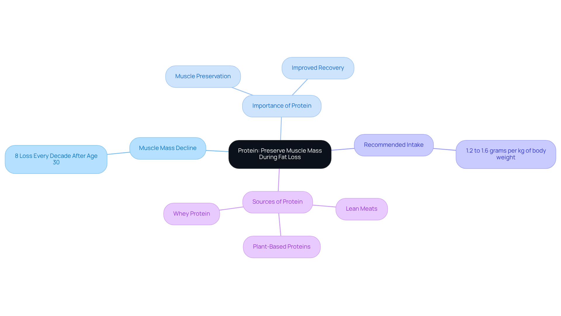 This mindmap shows how protein helps maintain muscle mass as we age. Start at the center with the main topic, then follow the branches to see related ideas like the decline in muscle mass, how much protein to eat, and what foods to include in your diet.