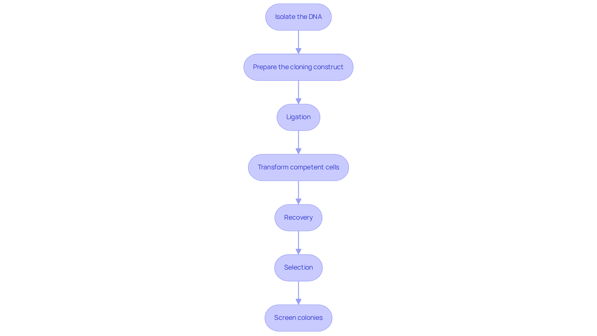 Each box represents a step in the cloning process. Follow the arrows to see how each step leads to the next, ensuring you complete the process in the correct order.