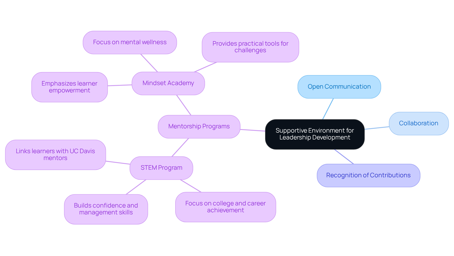 This mindmap starts with the main idea at the center and branches out to show different strategies and examples. Each branch represents a key aspect of fostering leadership, and the sub-branches provide specific programs that illustrate these concepts. Follow the branches to see how everything connects!