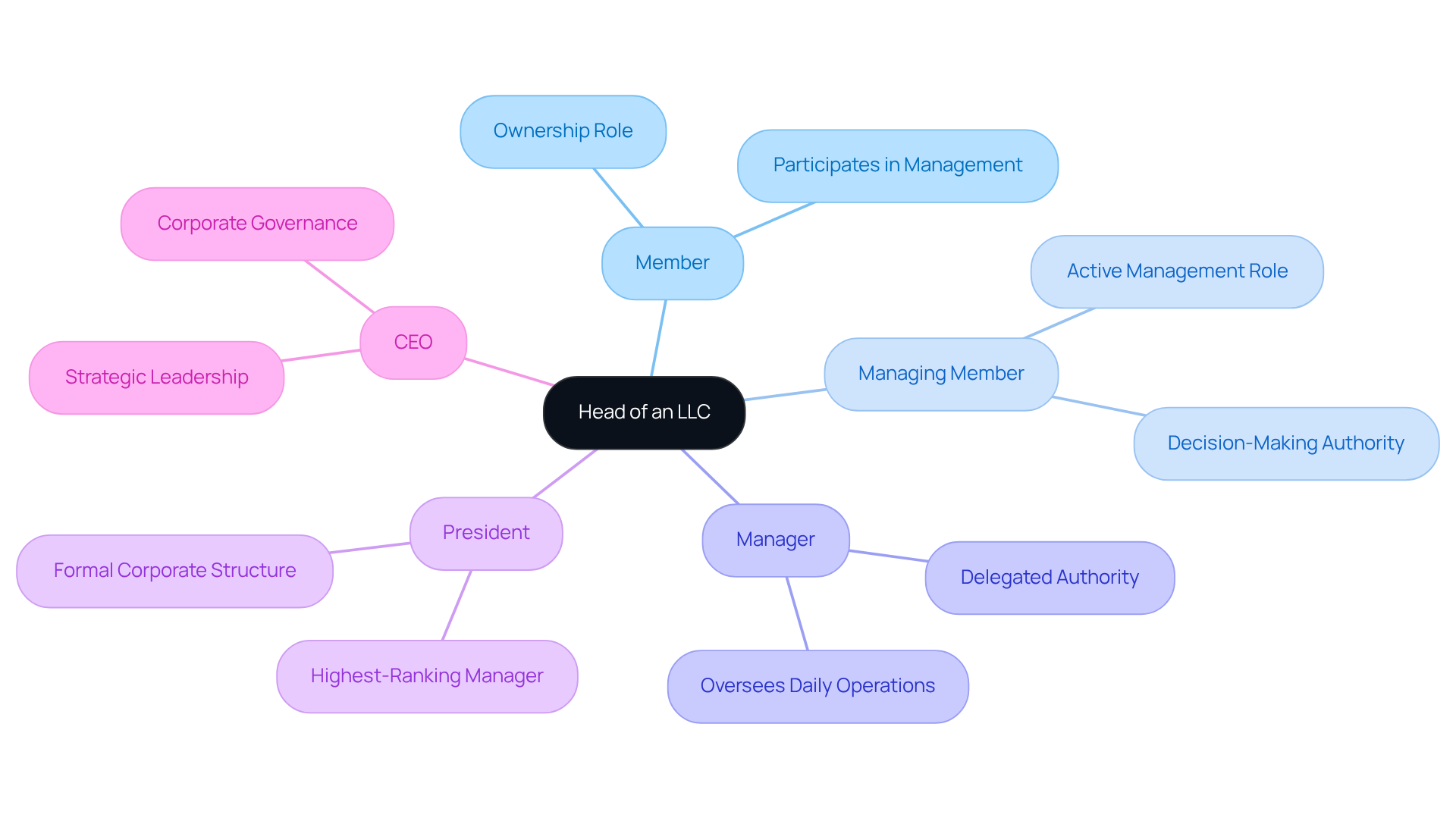 The central node represents the head of an LLC, while the branches show different titles and their meanings. Each title has specific responsibilities, helping to clarify roles within the organization. The central node represents the head of an LLC, while the branches show different titles and their meanings. Each title has specific responsibilities, helping to clarify roles within the organization.