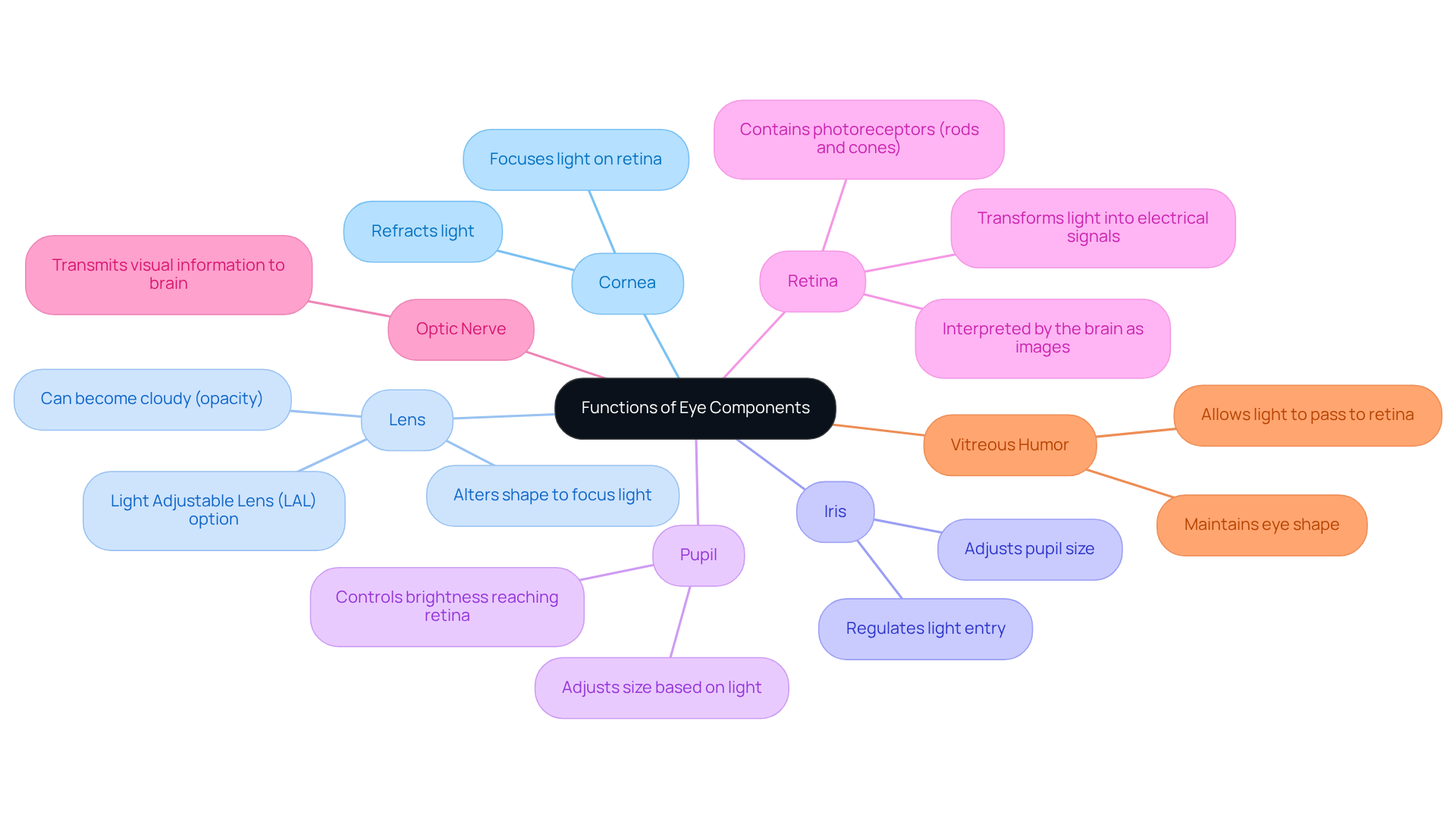 The central node represents the overall topic, while each branch shows a different part of the eye. The sub-branches explain what each part does, helping you understand how they work together for vision.