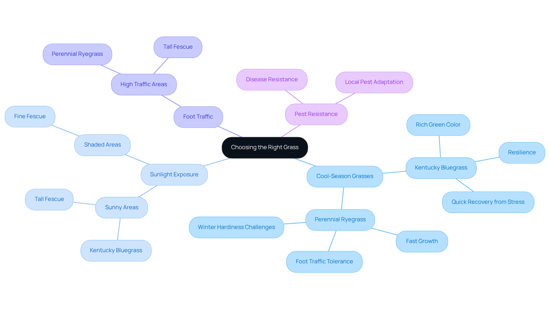 The central idea is about selecting the right grass for your yard. Each branch represents different factors to consider, like grass types and environmental conditions. Follow the branches to see how each type of grass fits into your specific yard needs. The central idea is about selecting the right grass for your yard. Each branch represents different factors to consider, like grass types and environmental conditions. Follow the branches to see how each type of grass fits into your specific yard needs.