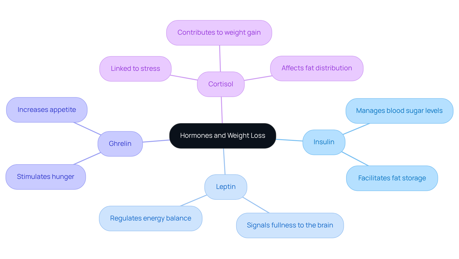 The central node represents the main topic, while each branch shows a specific hormone and its role in weight management. Follow the branches to see how each hormone affects your body and weight loss journey. The central node represents the main topic, while each branch shows a specific hormone and its role in weight management. Follow the branches to see how each hormone affects your body and weight loss journey.