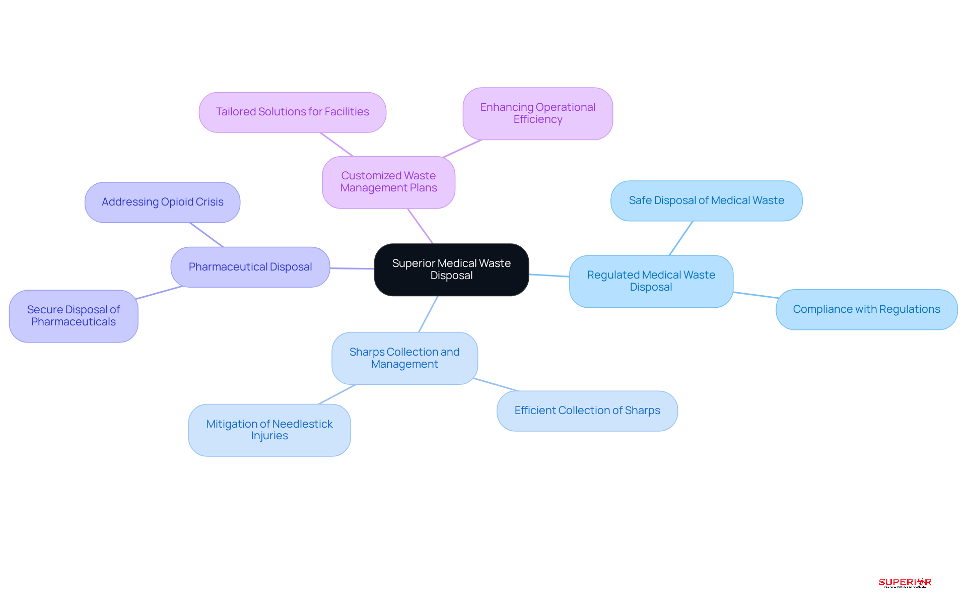 The center represents the main service, while the branches show different offerings. Each branch explains how these services contribute to safety and compliance in healthcare waste management.