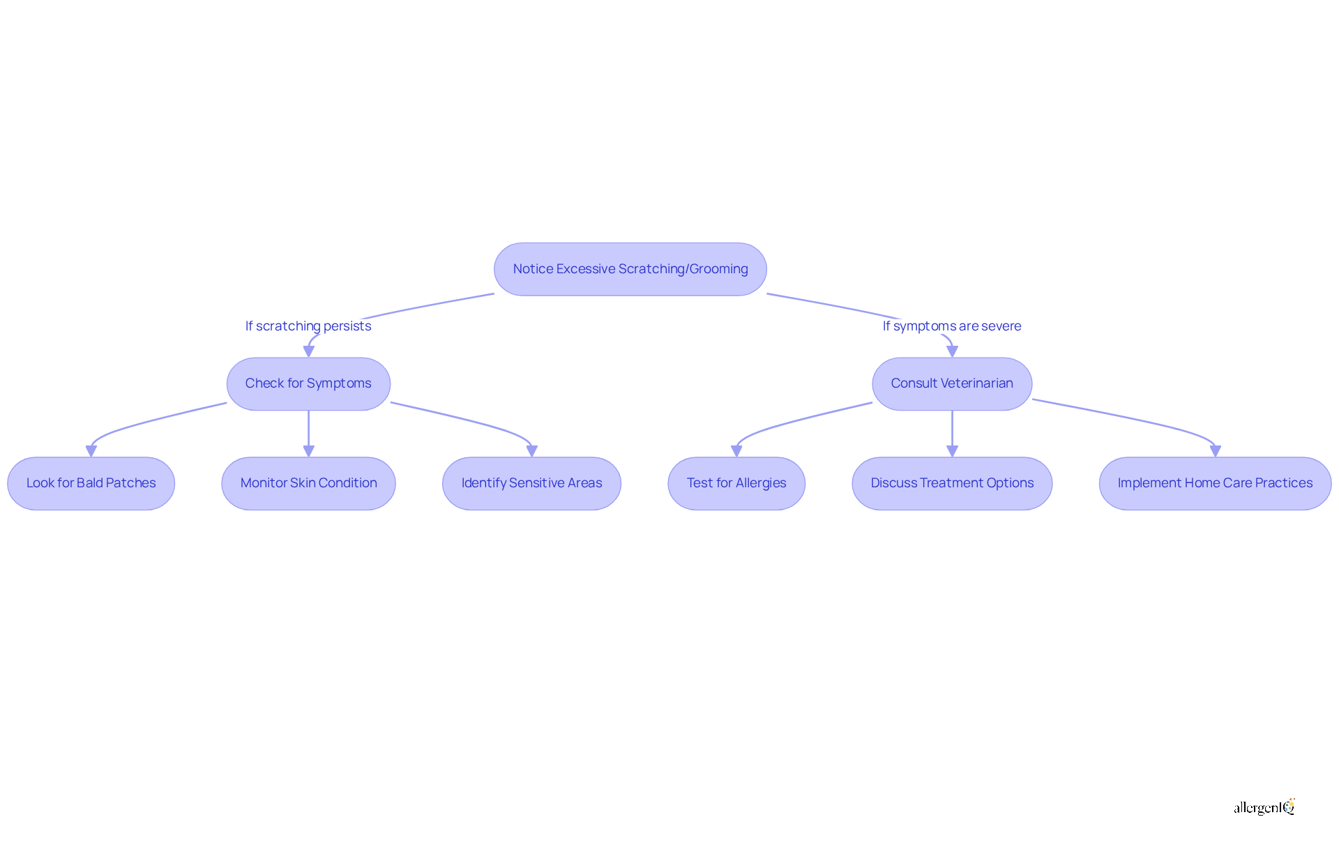 Follow the arrows to see what to do if your cat is scratching too much. Start by checking for symptoms, then decide if you need to consult a vet. Each step helps ensure your pet gets the care they need.